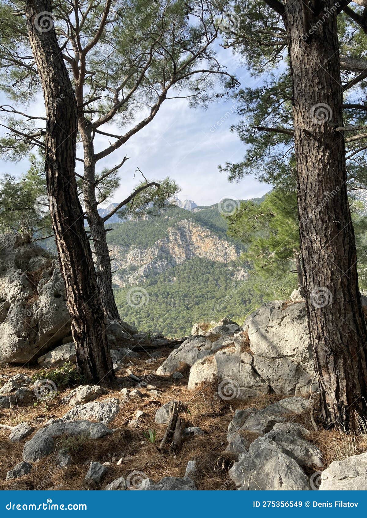 The Edge of the Cliff with Trees Growing on it and a View of the Stone ...
