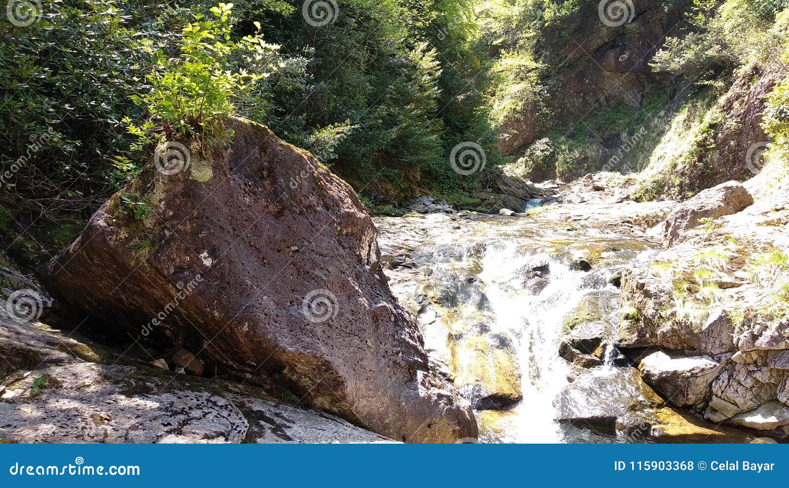 At the edge of the creek stock photo. Image of flowing - 115903368
