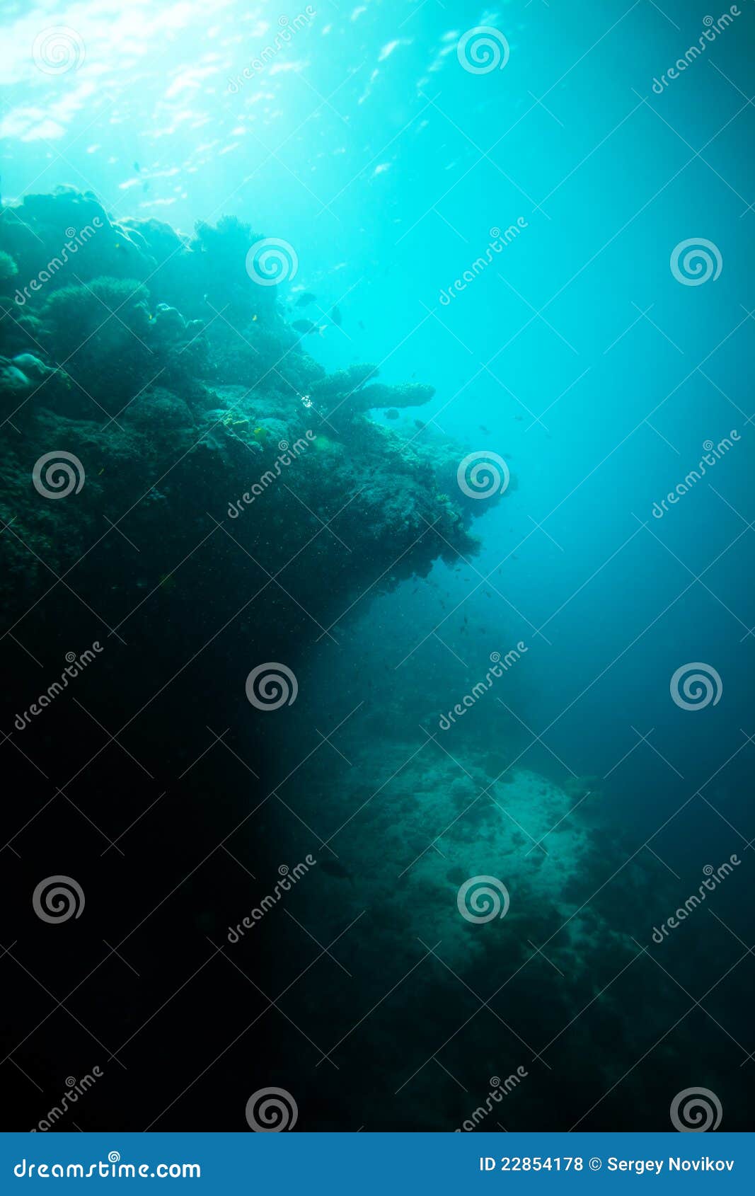Edge of the deep stock photo. Image of undersea, nature - 22854178