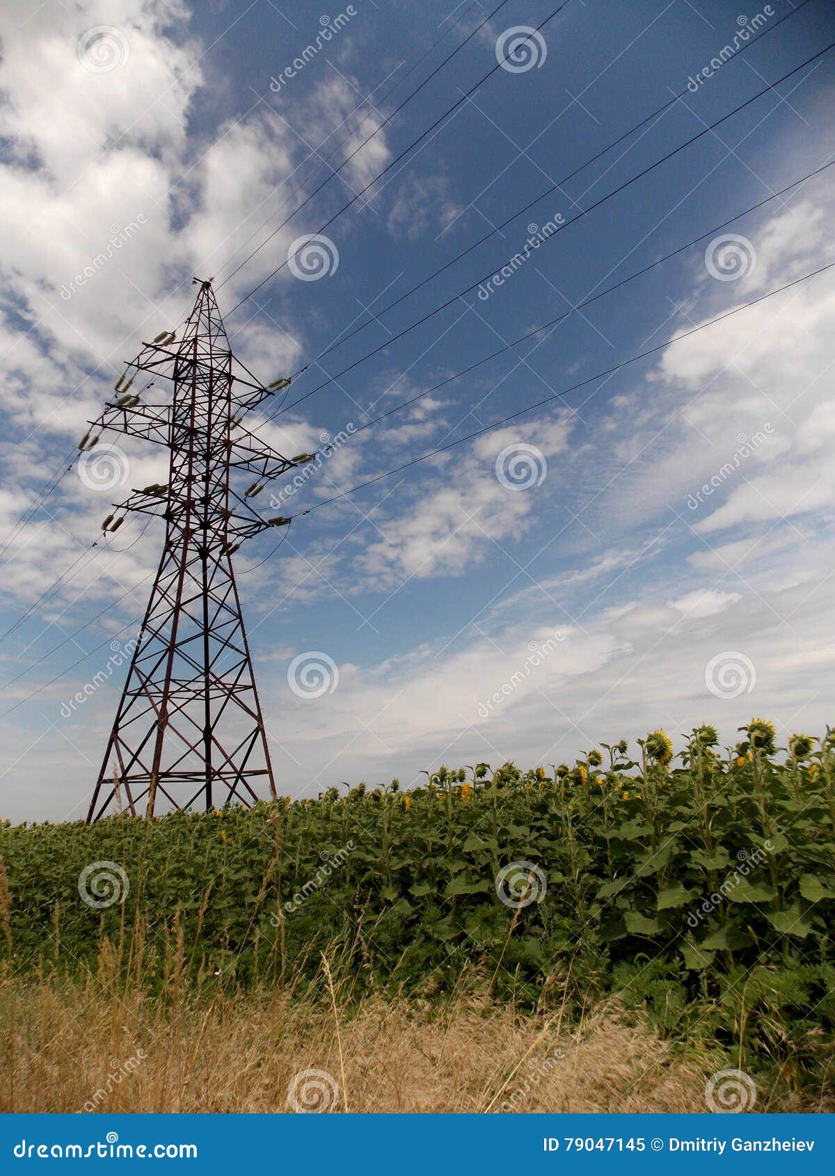A Field And The Tower Stock Photography | CartoonDealer.com #84006860