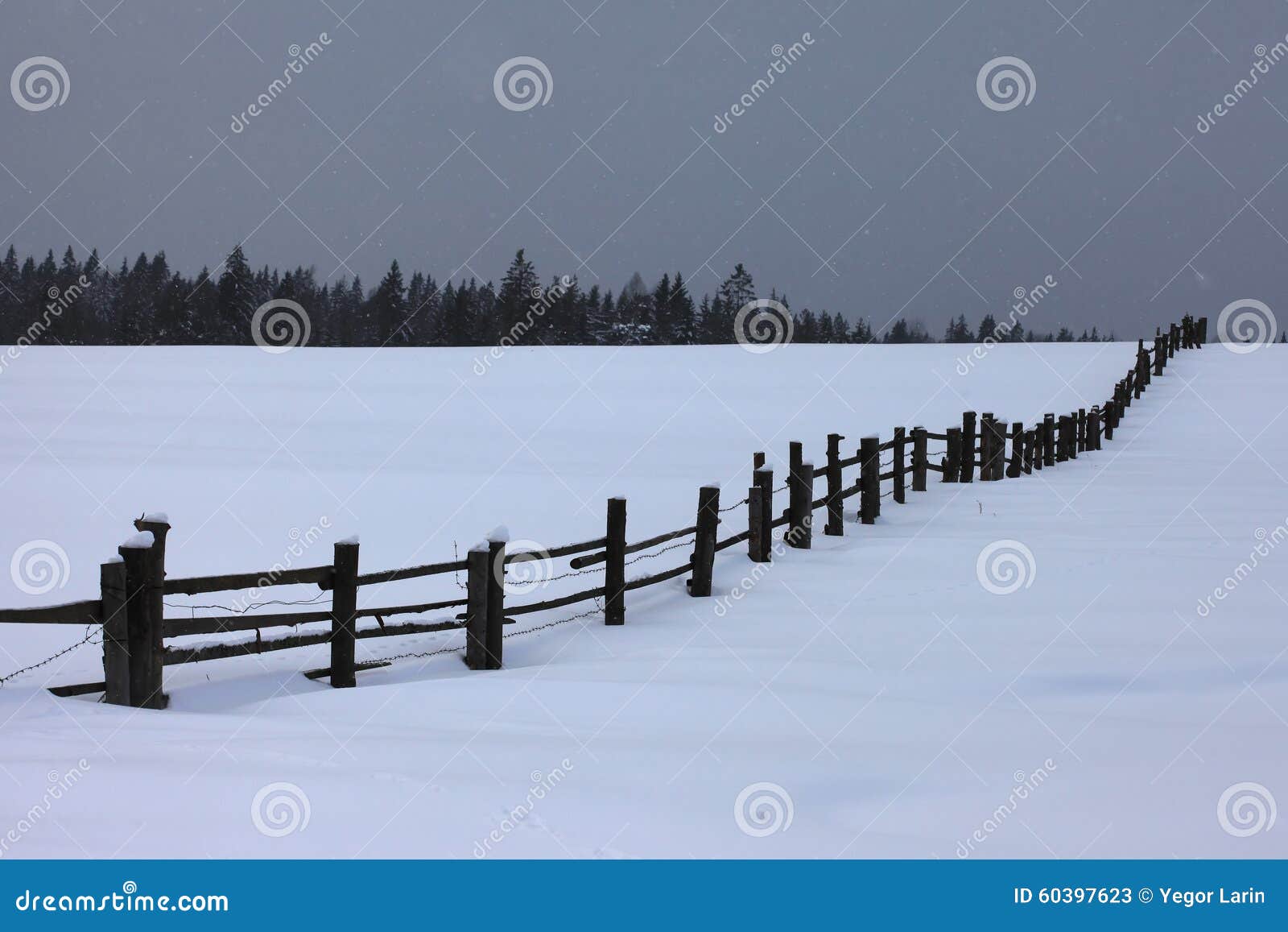 The Edge of the Forest and Fence on Winter Night Stock Image - Image of ...