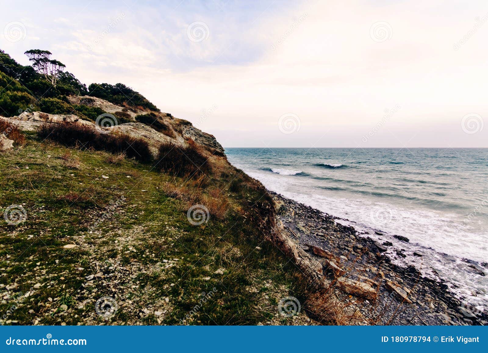 The Edge of a Juniper Forest on the Seashore in the Utrish Nature ...