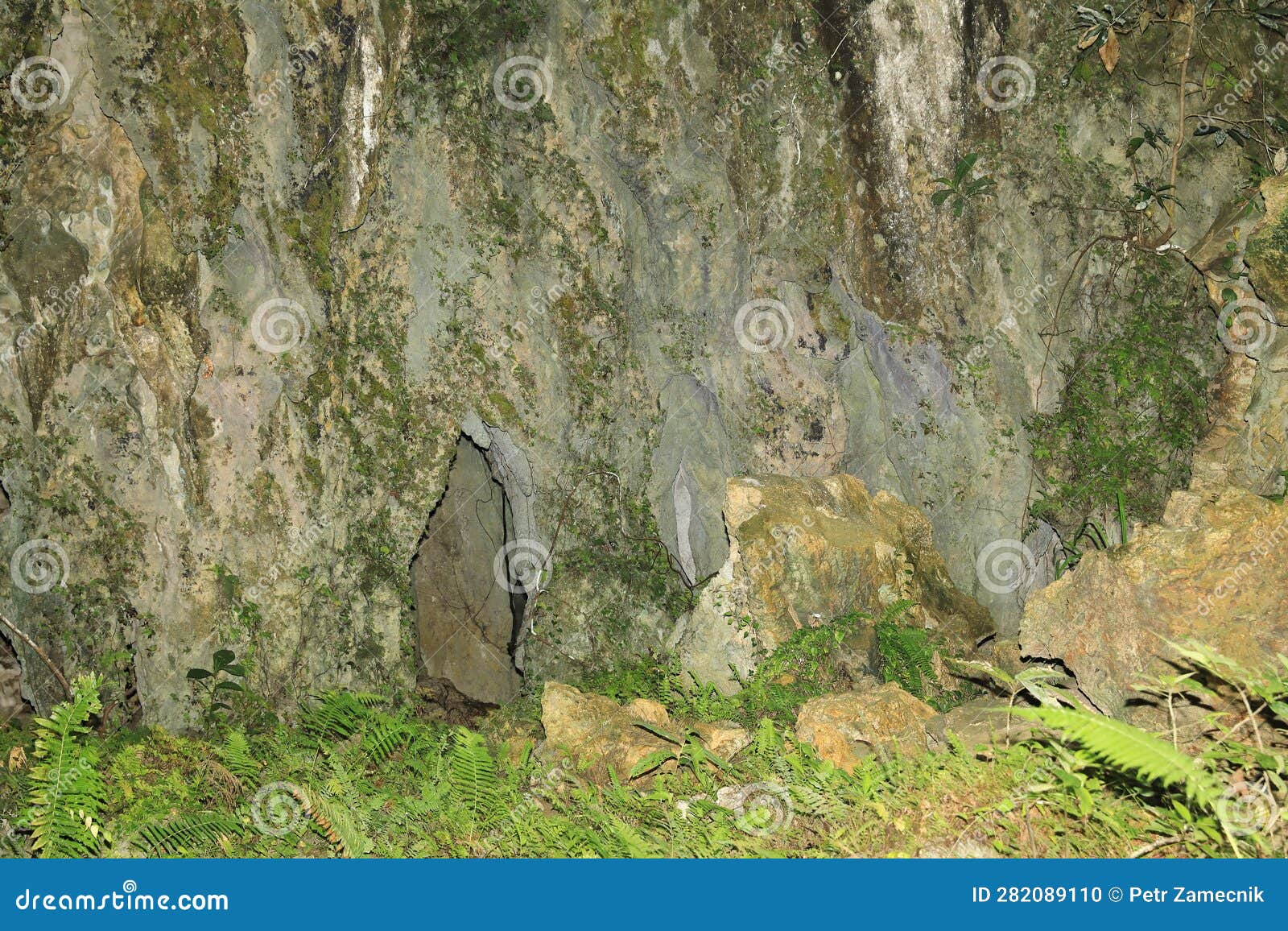 Edge of Lime Stone Cave Goa Jepang on Biak Island Stock Photo - Image ...