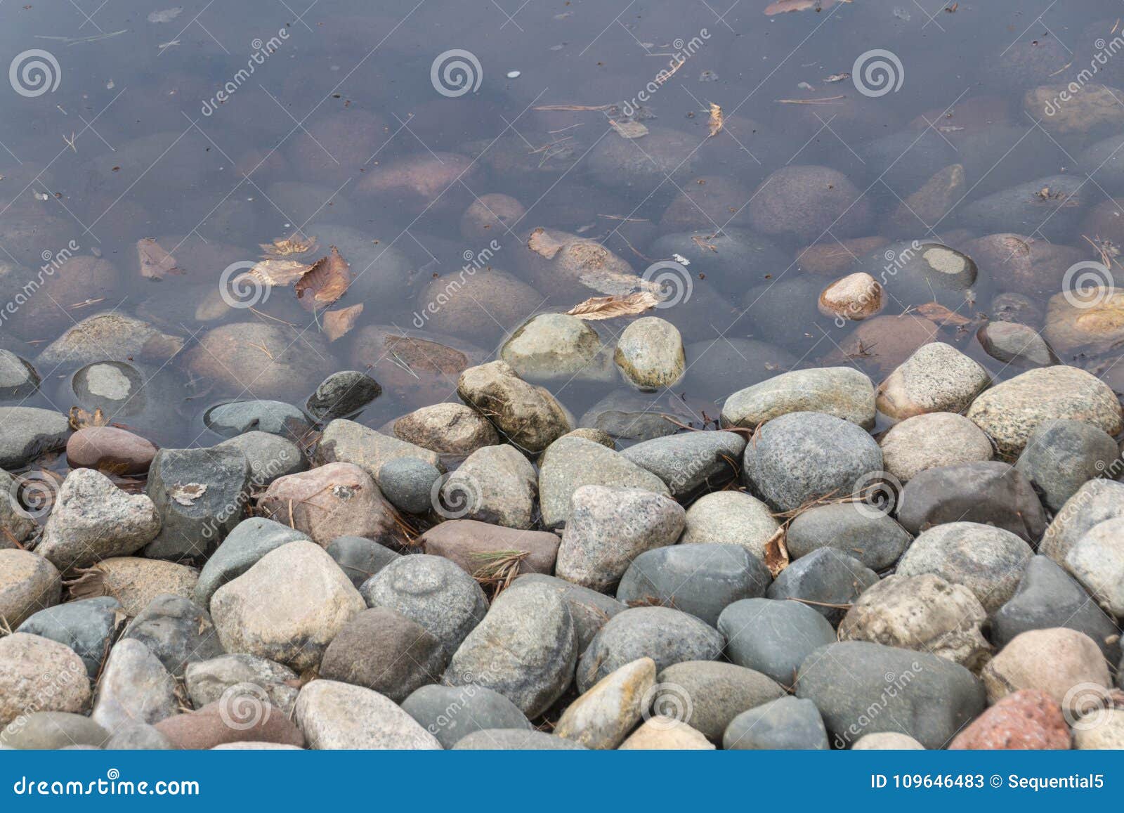 Stoney pond stock image. Image of shore, multiple, rocks - 109646483
