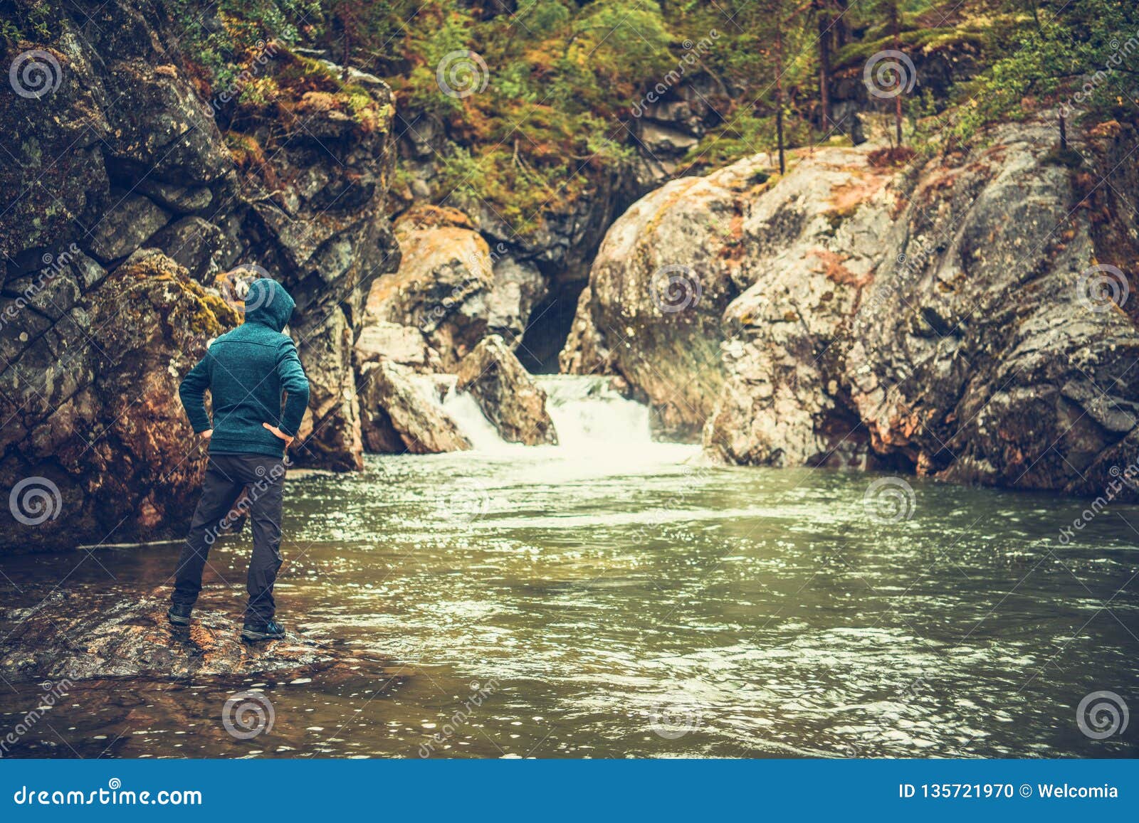 The Edge of the River stock photo. Image of scenic, traveling - 135721970