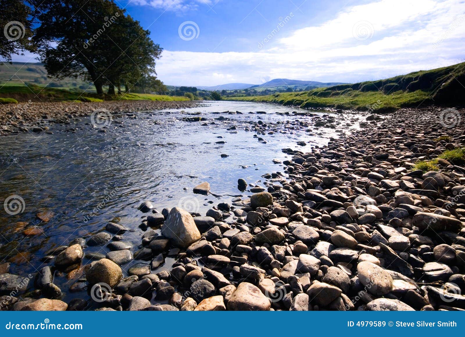 Edge of River Ure I stock image. Image of dales, kingdom - 4979589