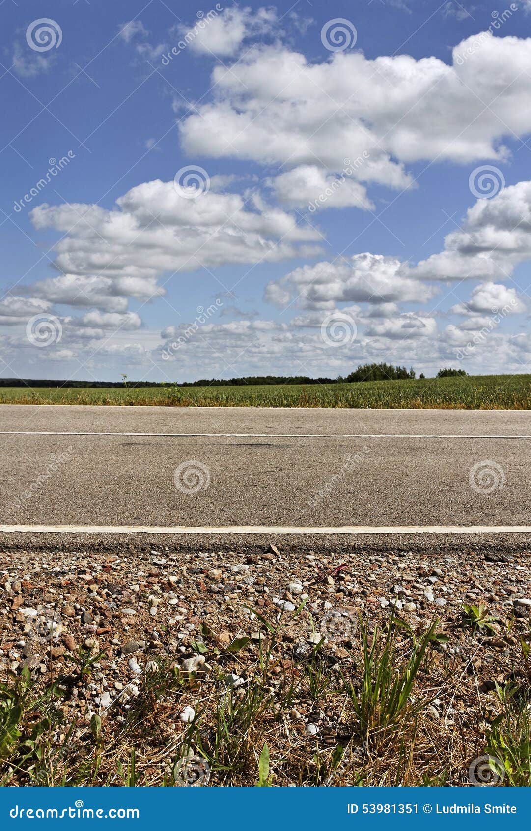 Edge of road. stock image. Image of landscape, green - 53981351