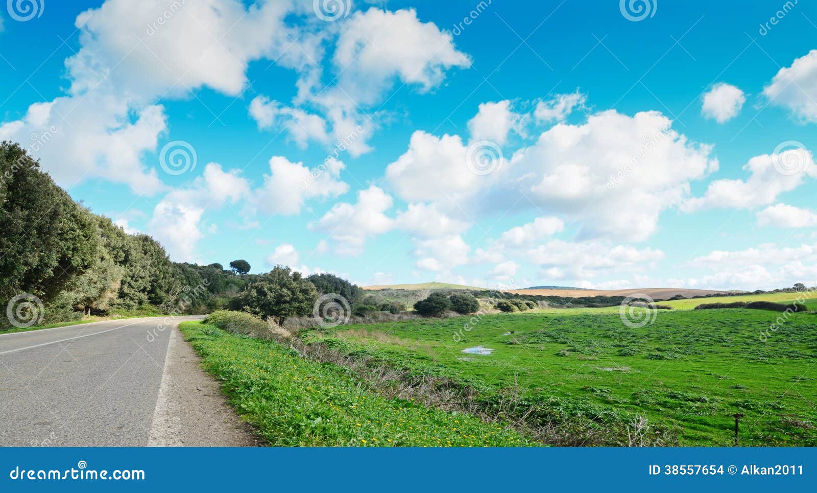 The edge of the road stock photo. Image of highway, blacktop - 38557654