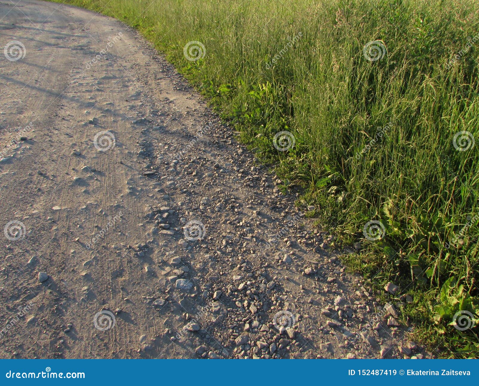 The Edge of the Roadside of a Light Rocky Forest Road and Green Summer ...