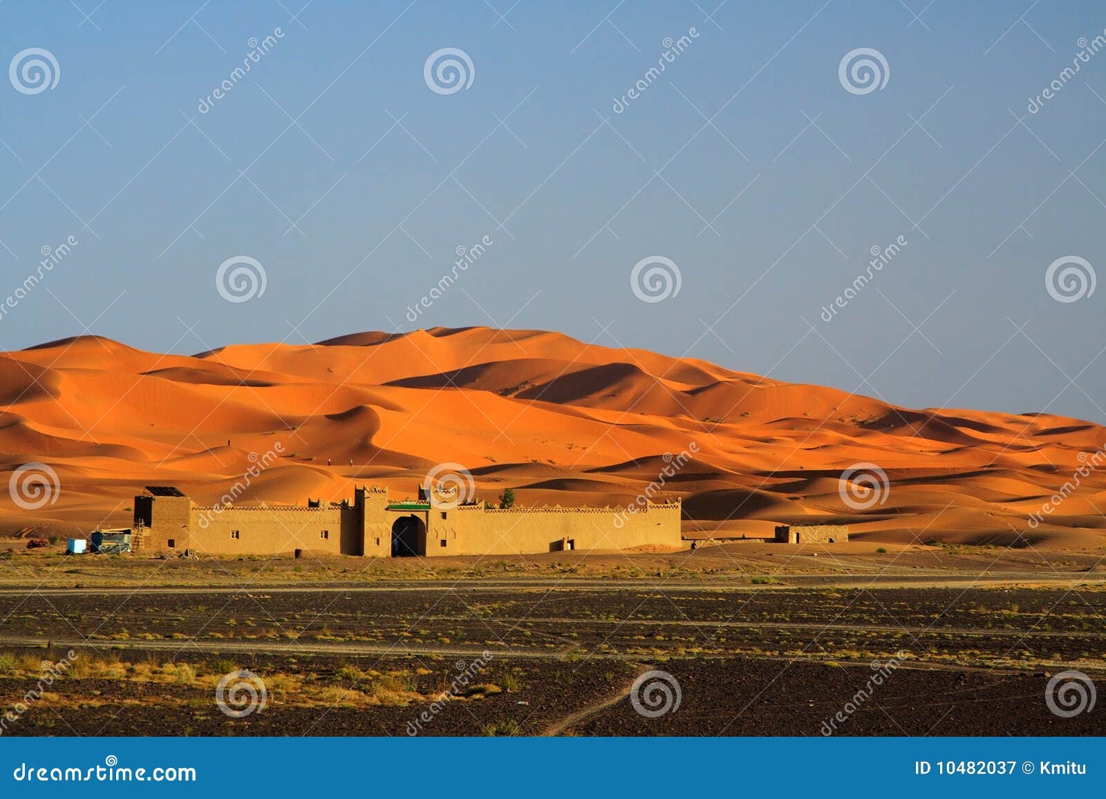 Edge of the Sahara Desert stock image. Image of sand - 10482037