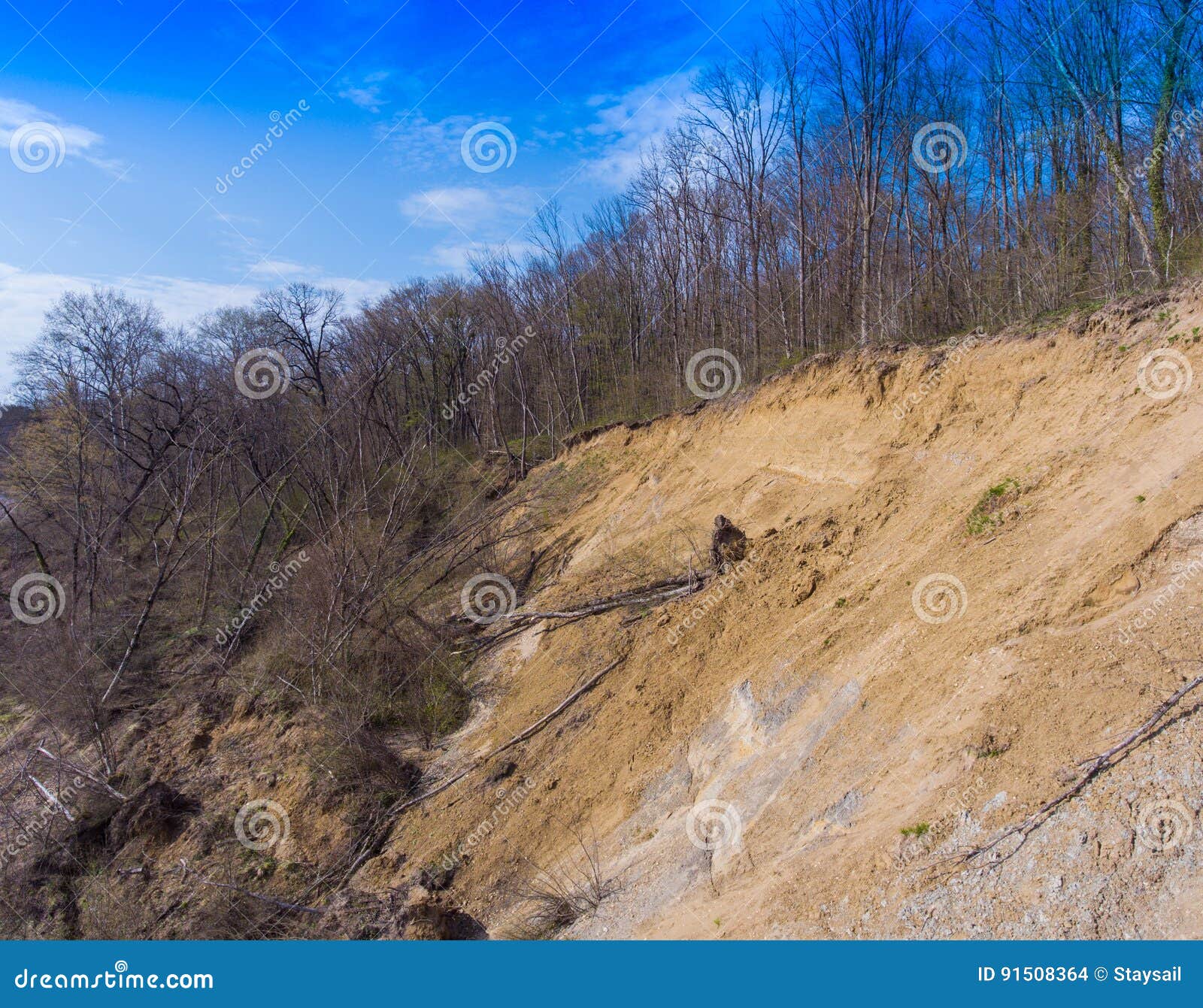 The Edge of the Sand Pit with Trees Stock Photo - Image of bank, forest ...