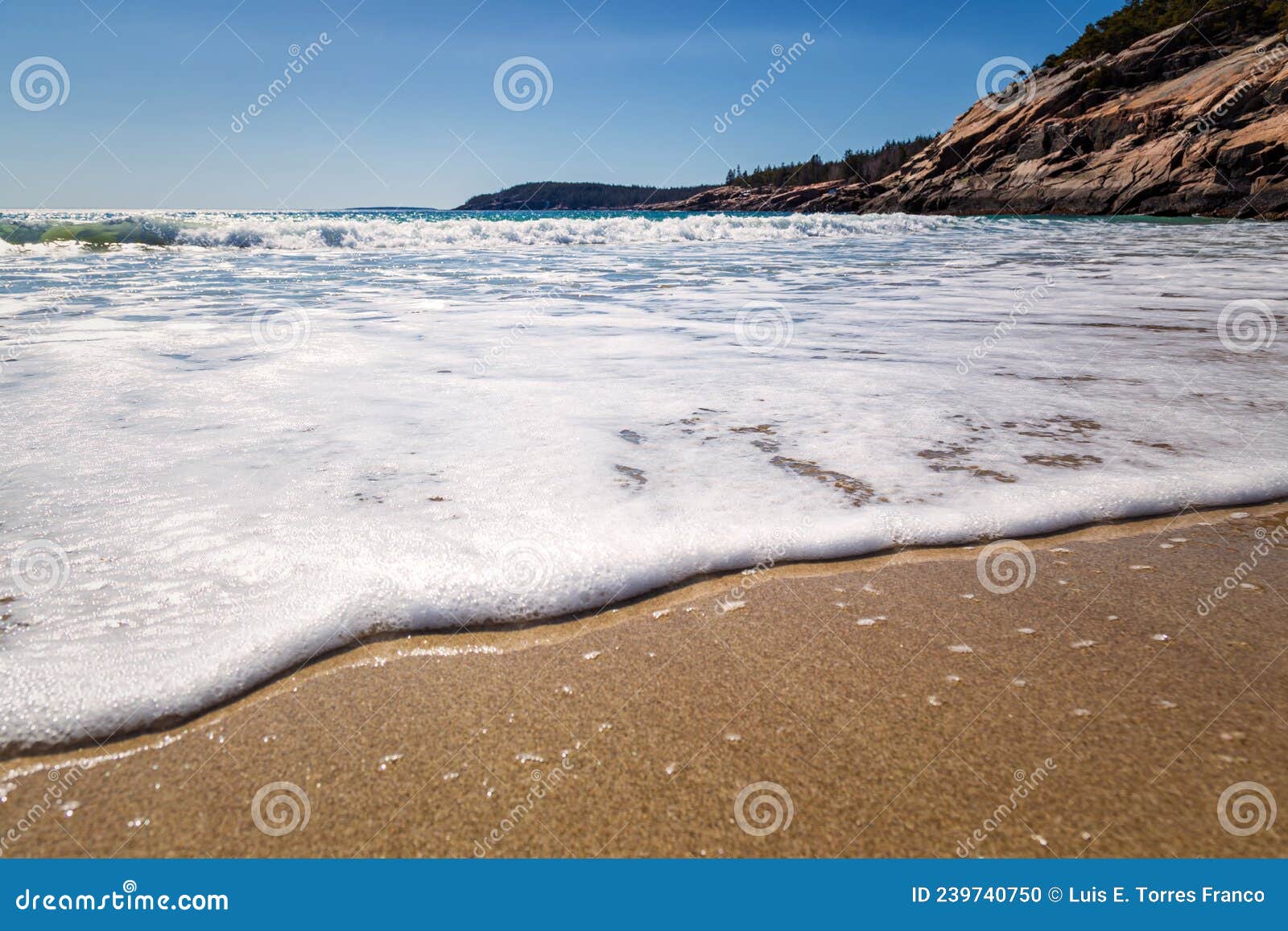 In the Edge of the Sea stock photo. Image of nature - 239740750