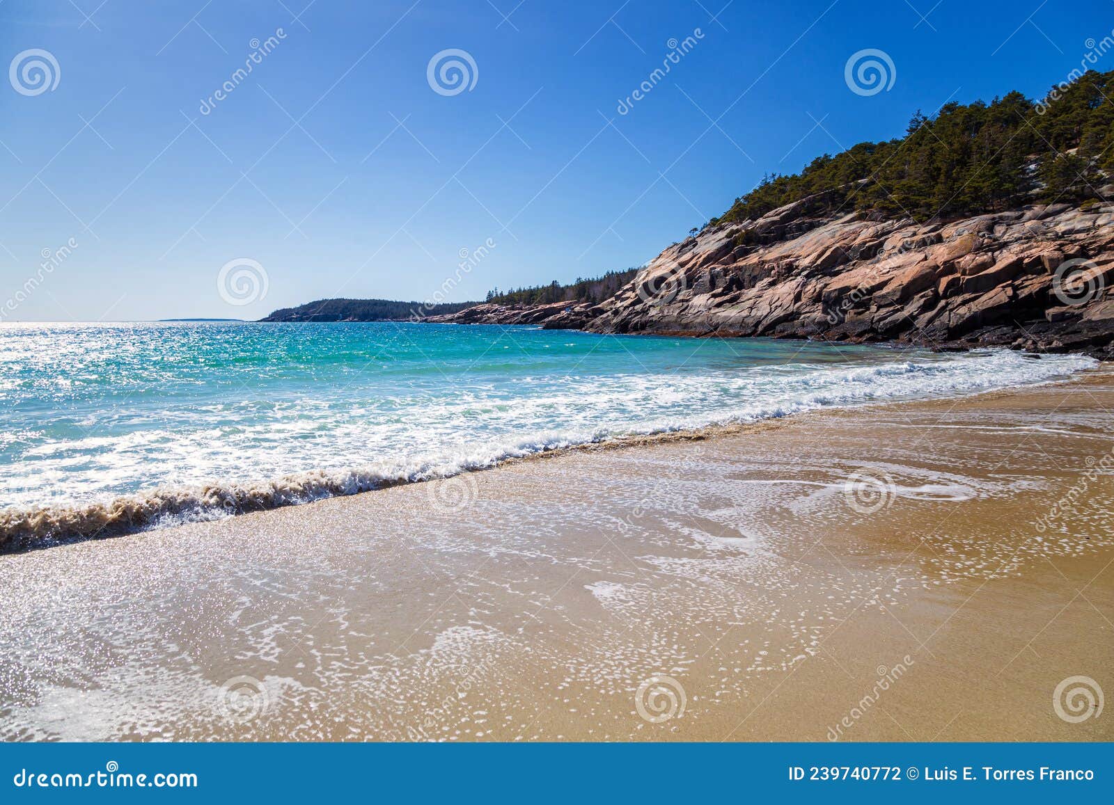 In the Edge of the Sea stock photo. Image of acadia - 239740772