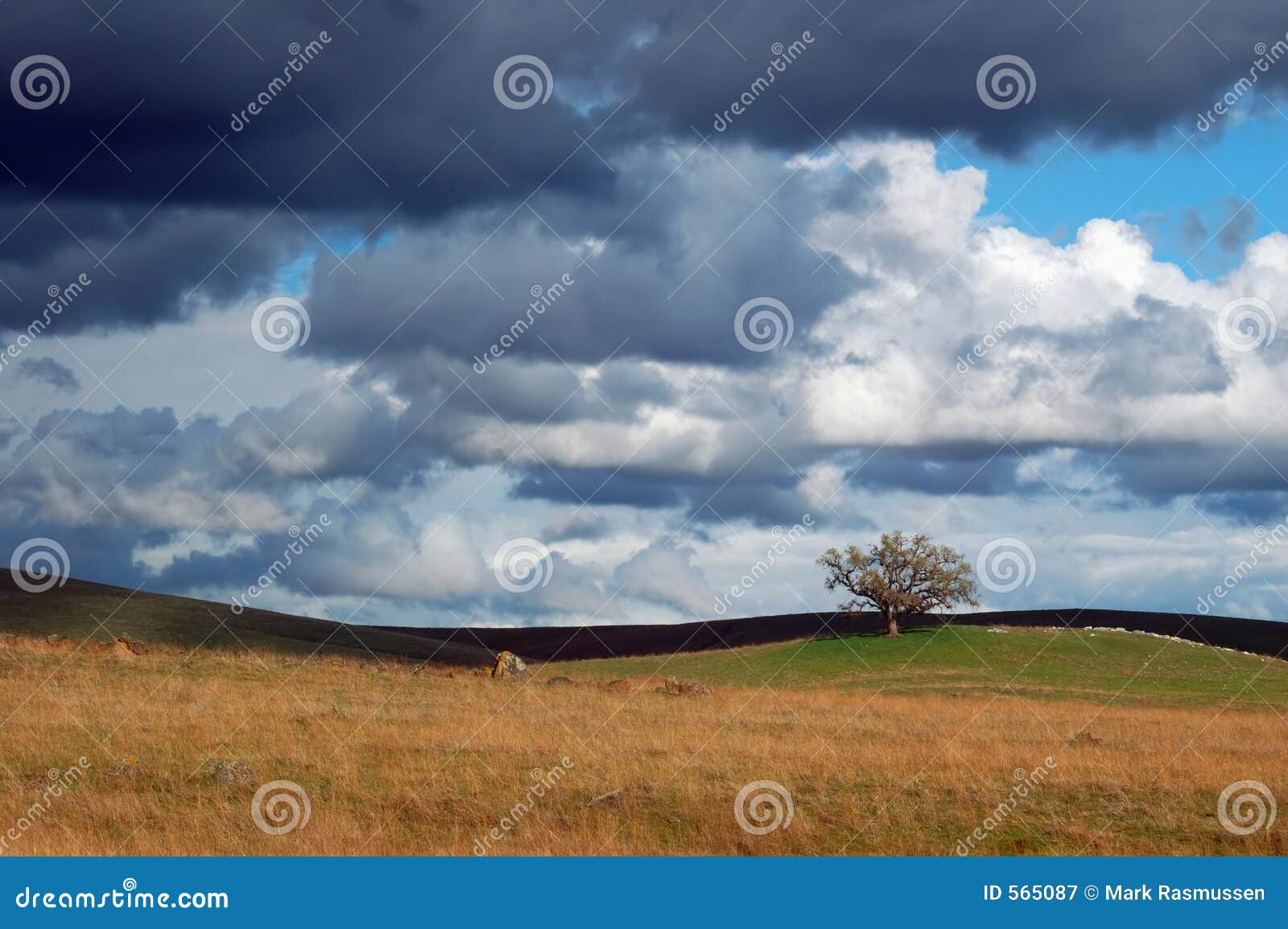 Edge of the storm stock image. Image of spring, thunderstorm - 565087