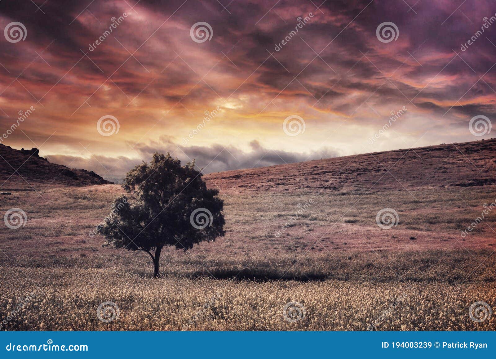 Edge of the Storm stock image. Image of places, bright - 194003239
