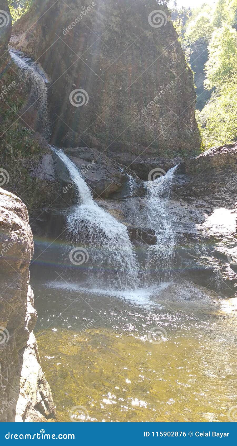 At the edge of the creek stock photo. Image of peacefully - 115902876