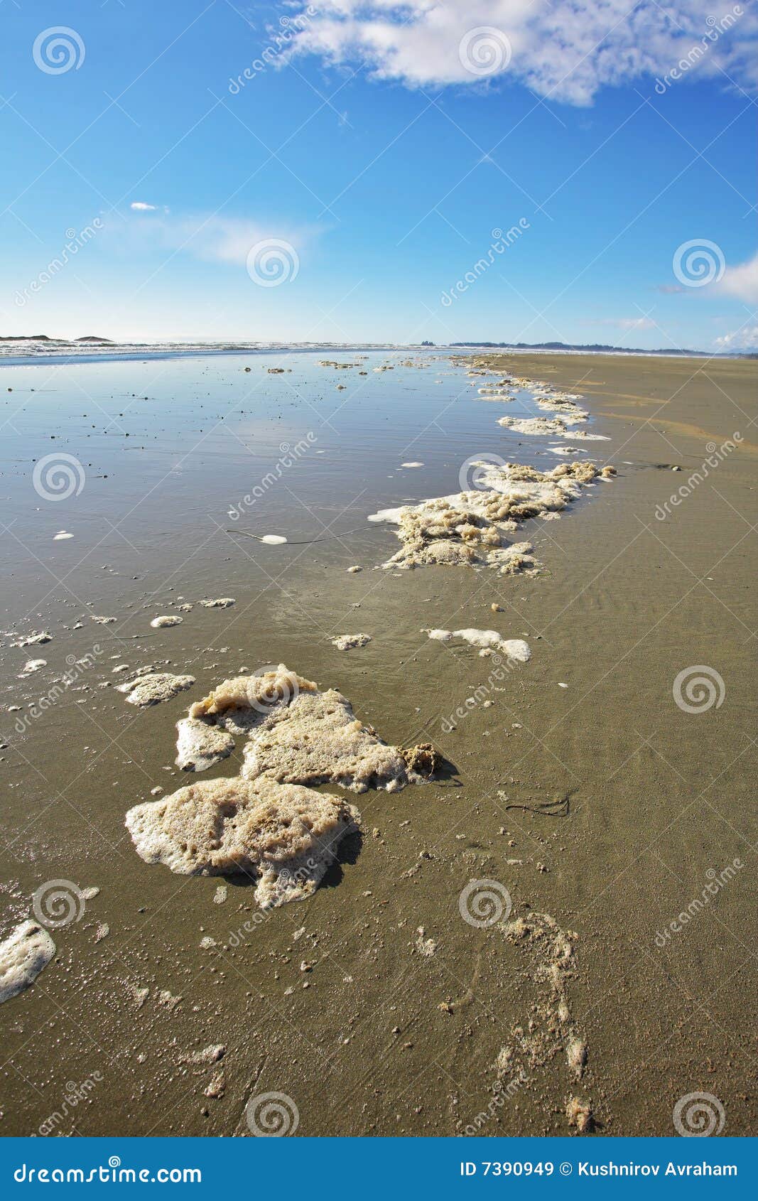 The edge of water stock image. Image of tranquil, backgrounds - 7390949