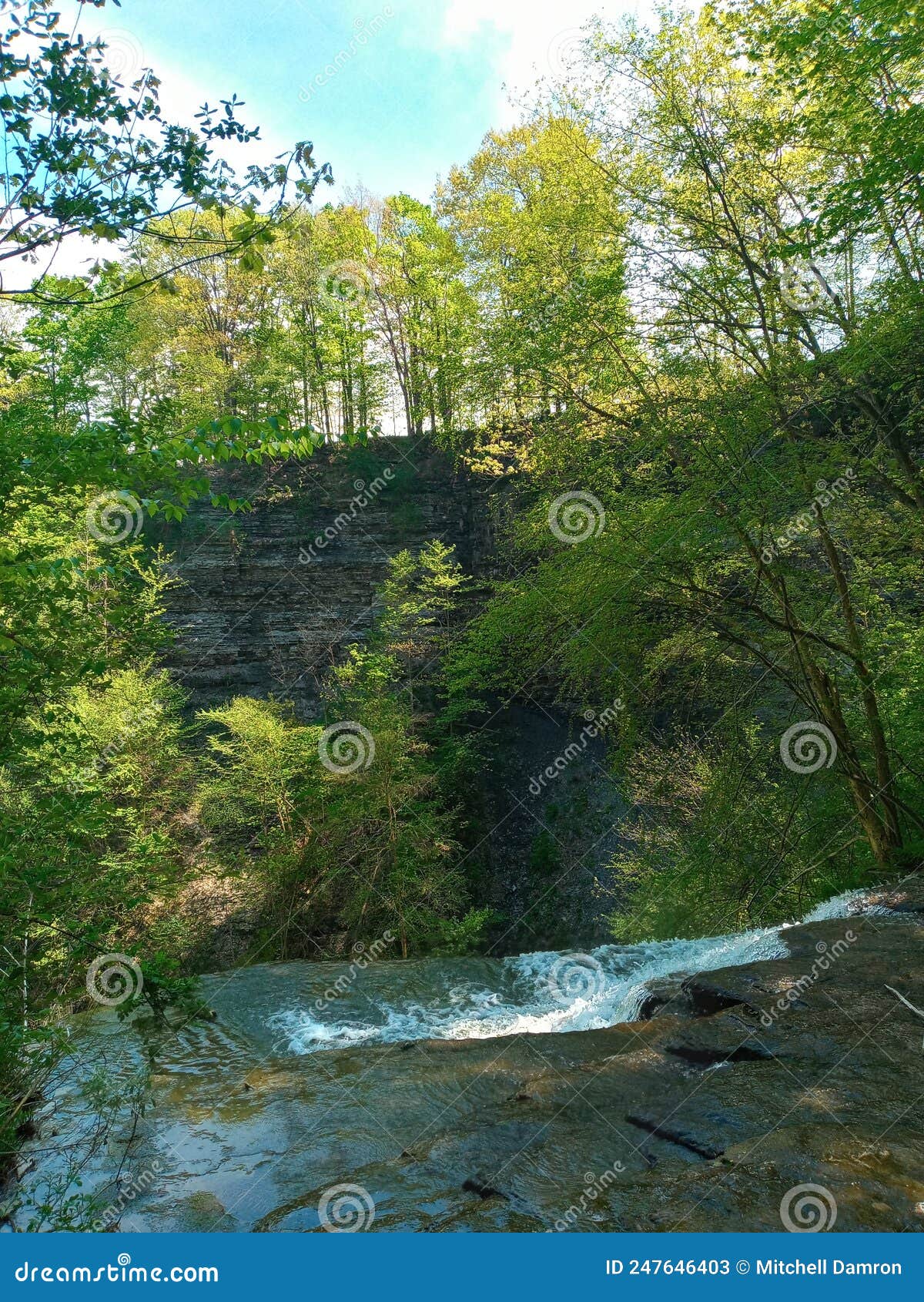 Edge of the waterfall. stock image. Image of green, garden - 247646403