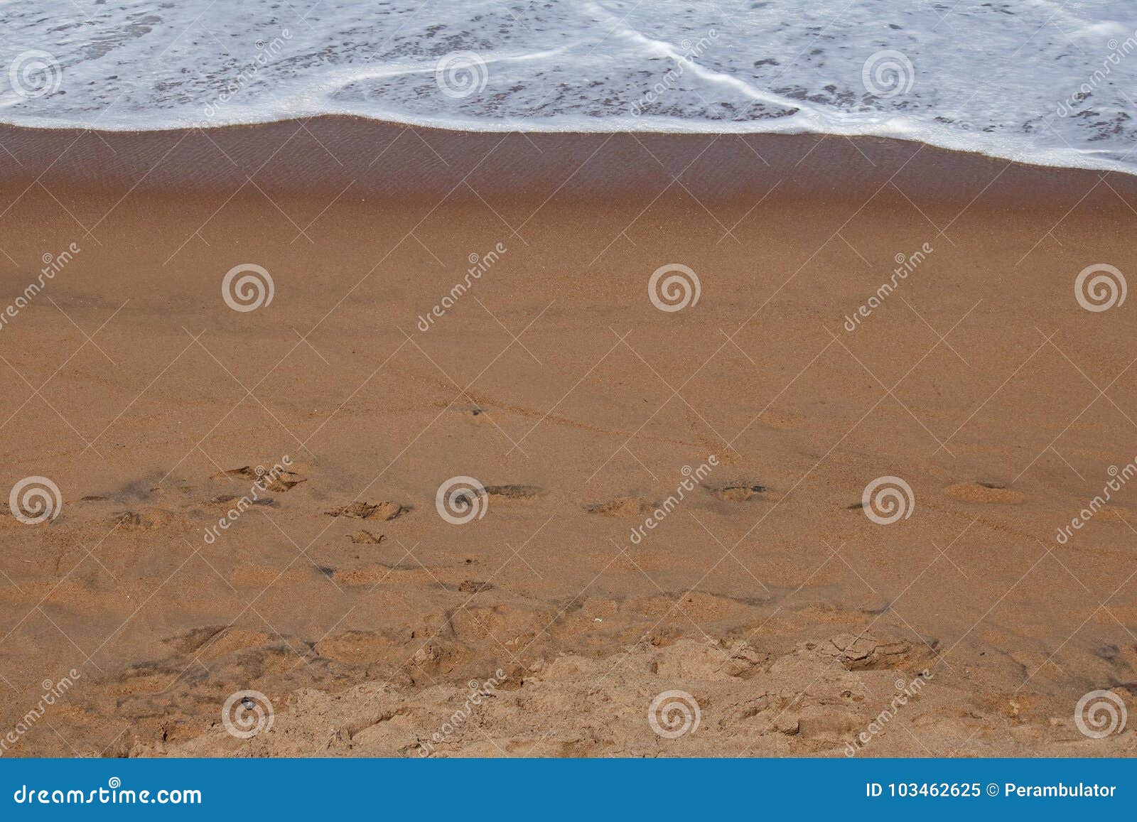 EDGE of WAVE on the BEACH stock image. Image of light - 103462625