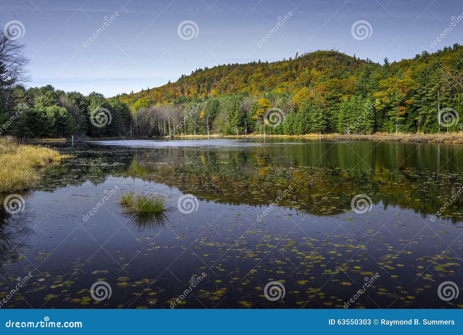 Edgewood Landing Conservation Pond, Bolton, NY Stock Image - Image of ... Edgewood Landing Conservation Pond, Bolton, NY Stock Image - Image of ...