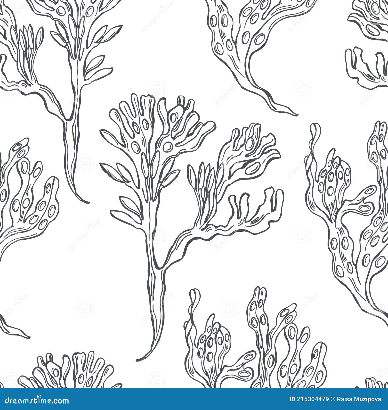 Edible Algae. Vector Pattern | CartoonDealer.com #215304481