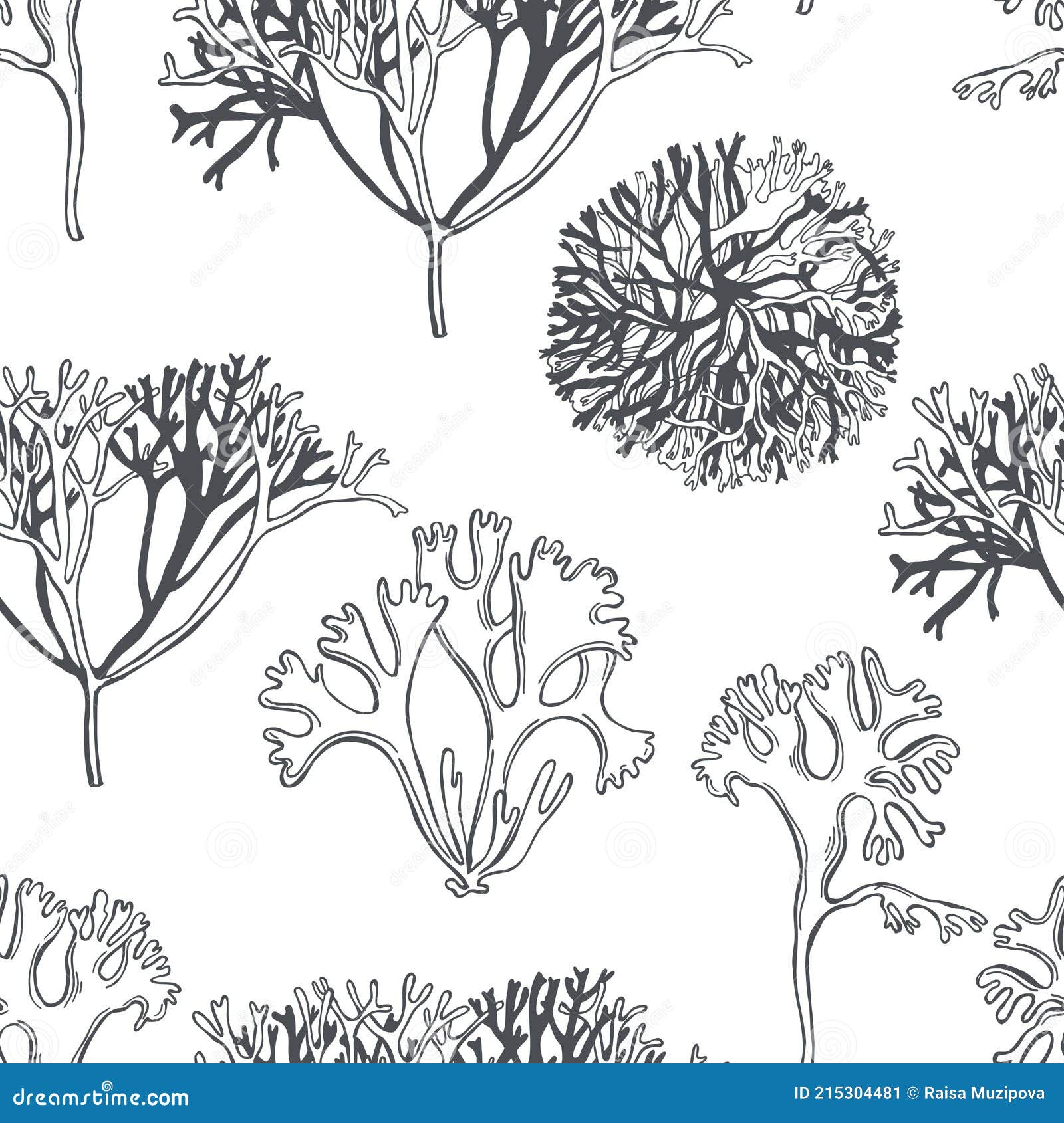 Edible Algae. Vector Pattern Stock Vector - Illustration of food ...