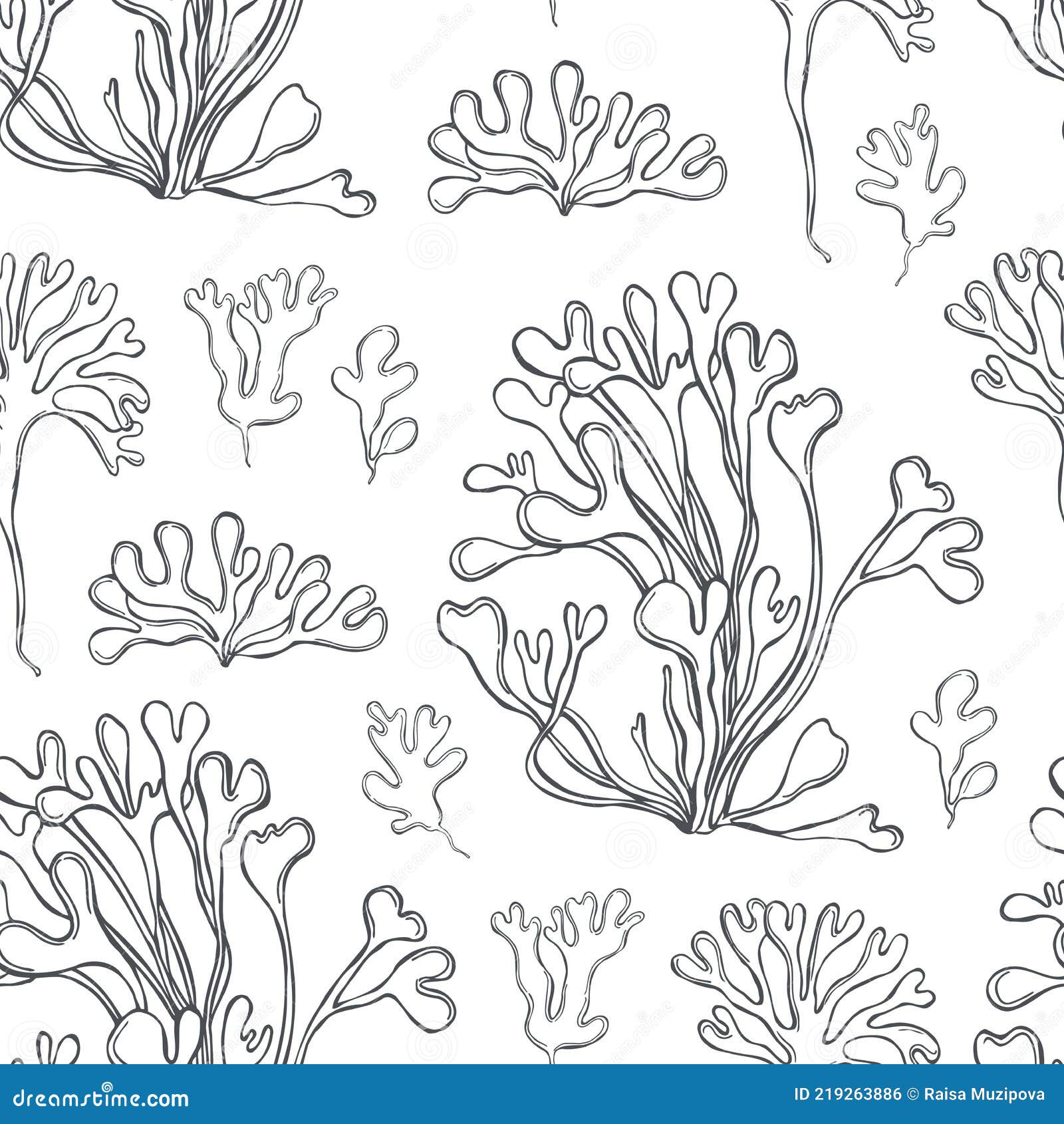 Edible Algae. Vector Pattern Stock Vector - Illustration of nature ...