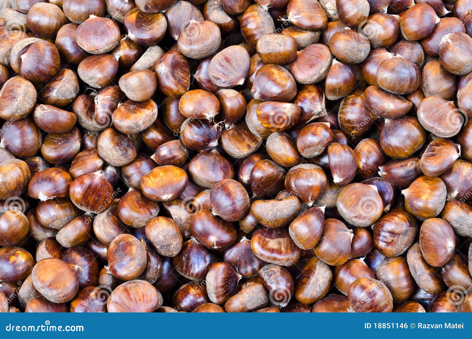 Edible chestnuts stock photo. Image of food, fagaceae - 18851146