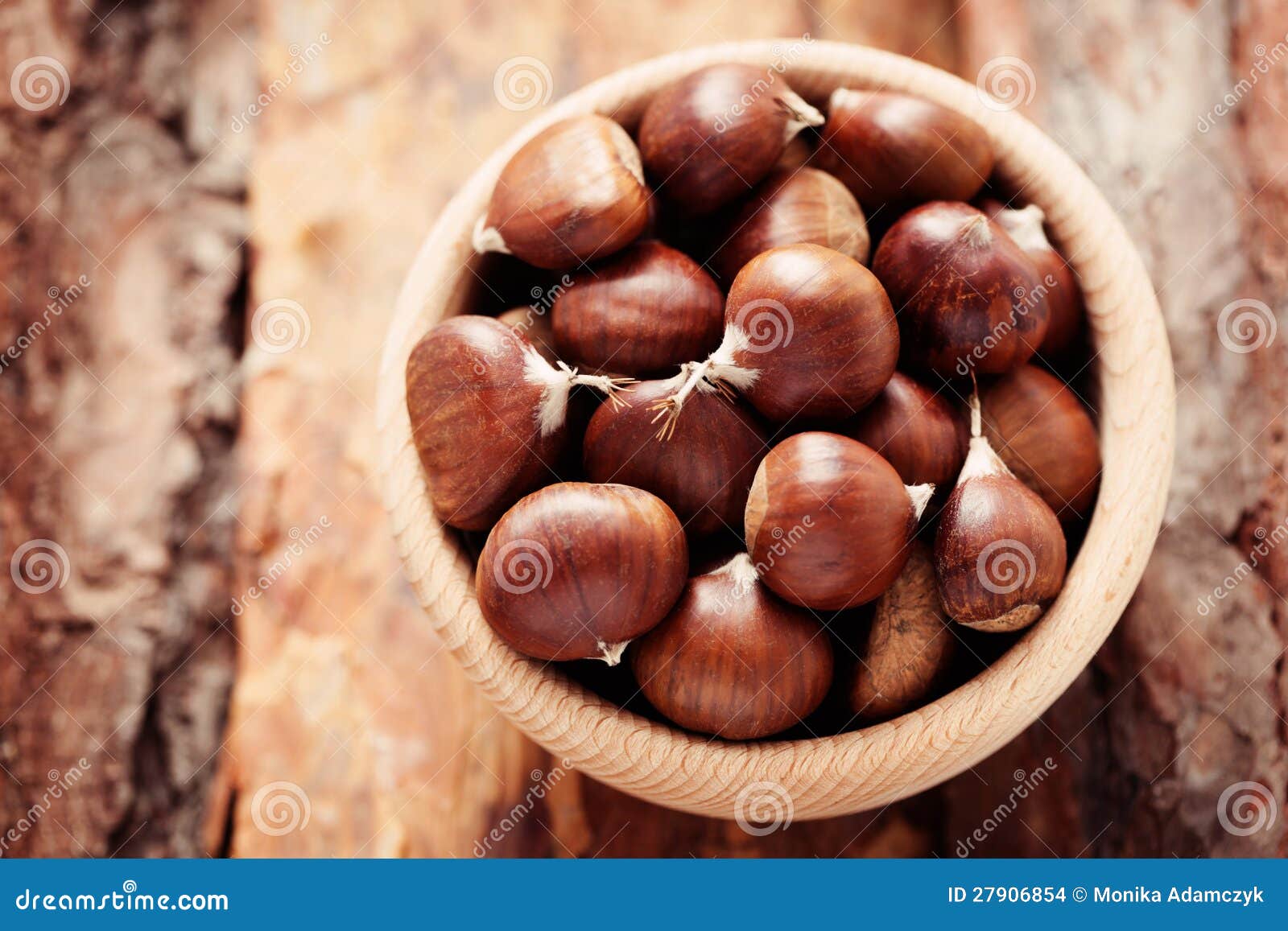 Edible chestnuts stock photo. Image of fresh, nature - 27906854