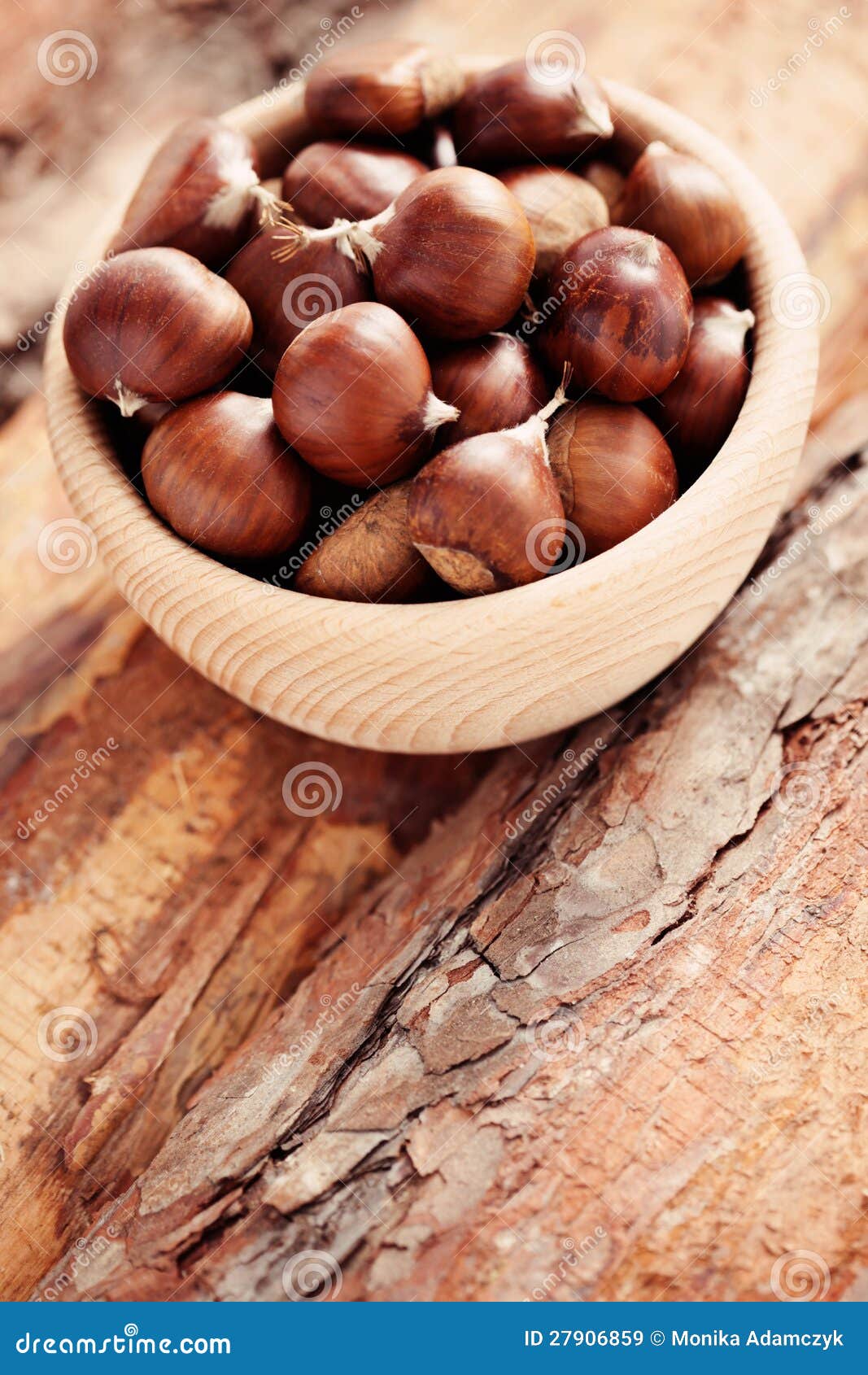 Edible chestnuts stock image. Image of nutrition, edible - 27906859