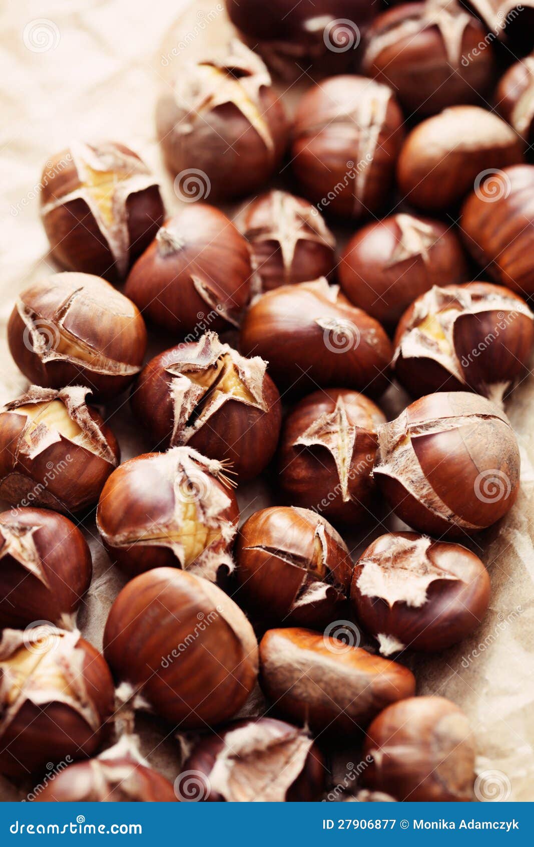 Edible chestnuts stock image. Image of chestnuts, tree - 27906877