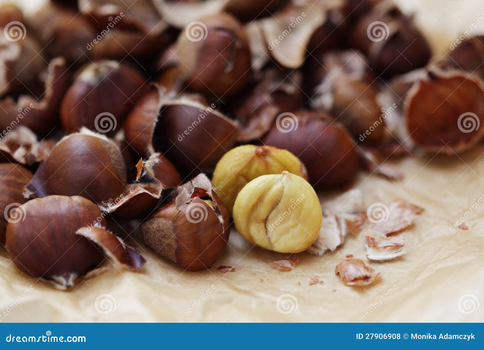 Edible chestnuts stock photo. Image of plant, plants - 27906908
