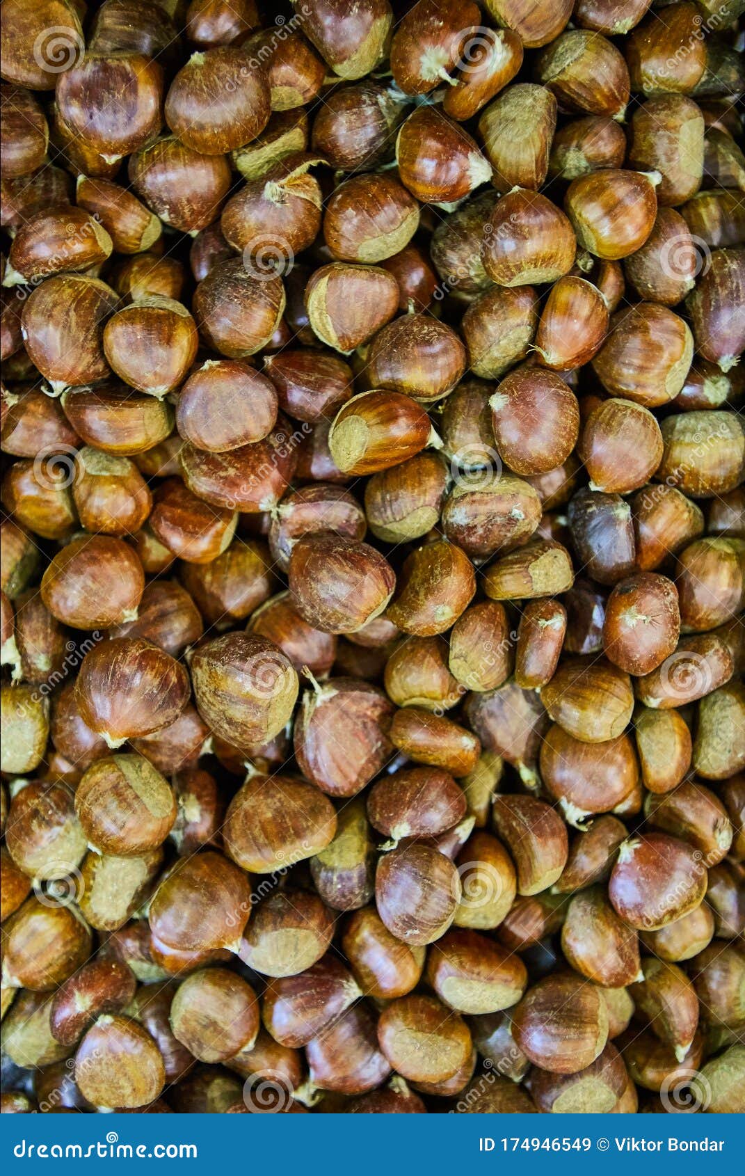 Edible Chestnuts Lie on a Counter in a Store Top View Stock Image ...