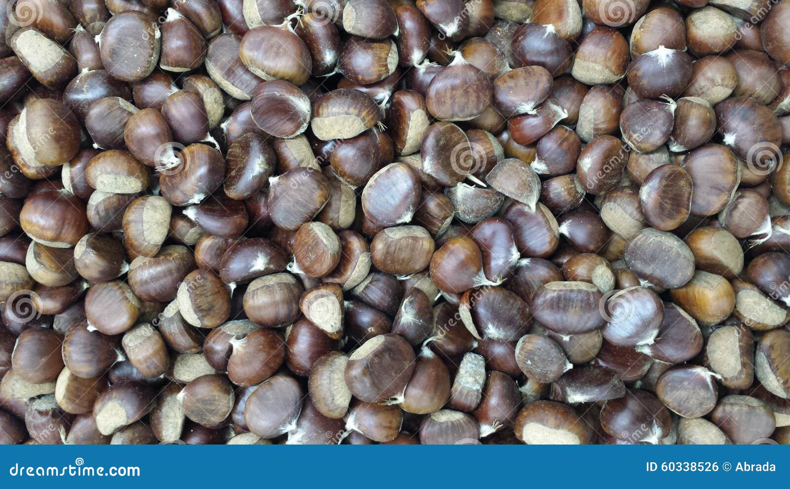 Edible chestnuts stock photo. Image of chestnuts, edible - 60338526