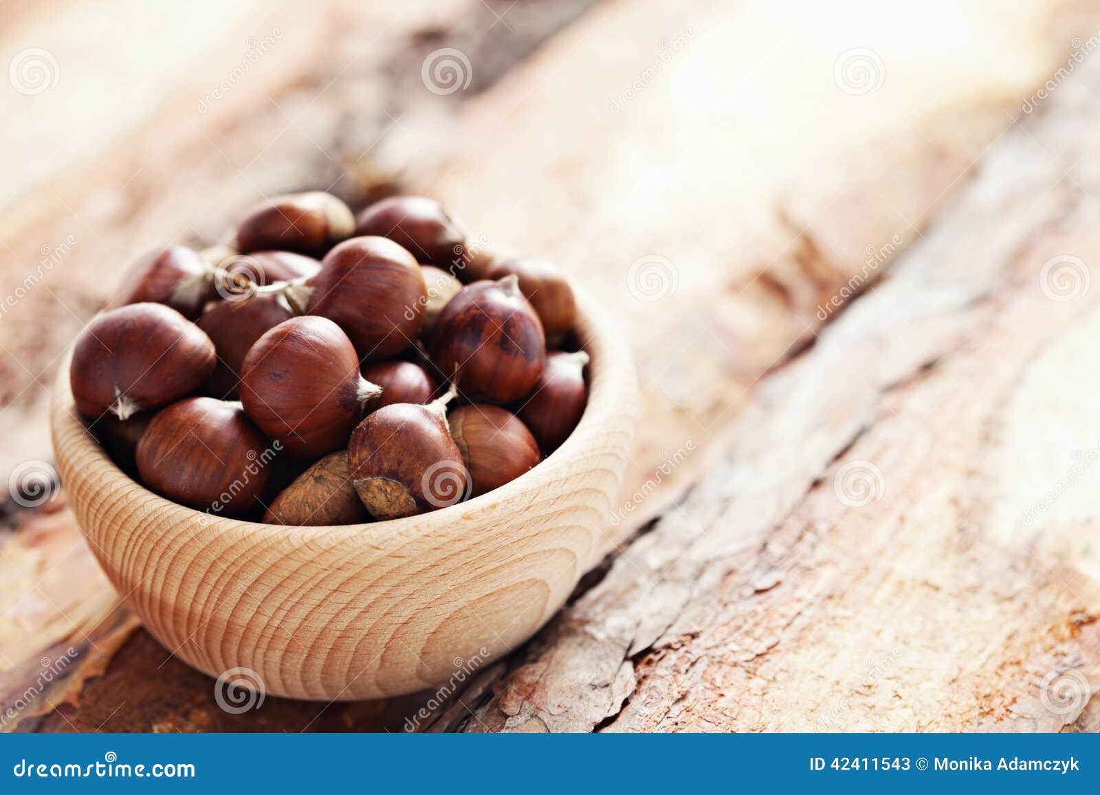 Edible chestnuts stock image. Image of fruit, nature - 42411543