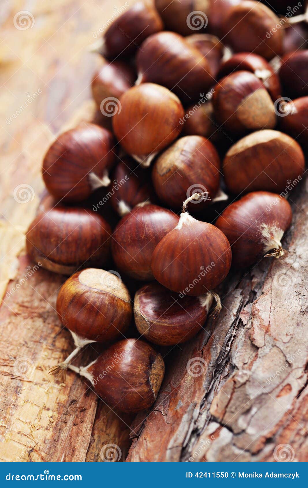 Edible chestnuts stock photo. Image of natural, chestnuts - 42411550