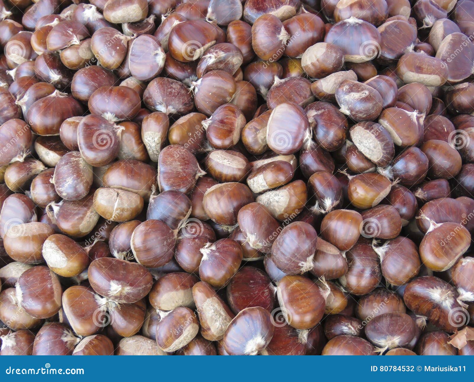 Edible chestnuts stock photo. Image of bunch, autumn - 80784532