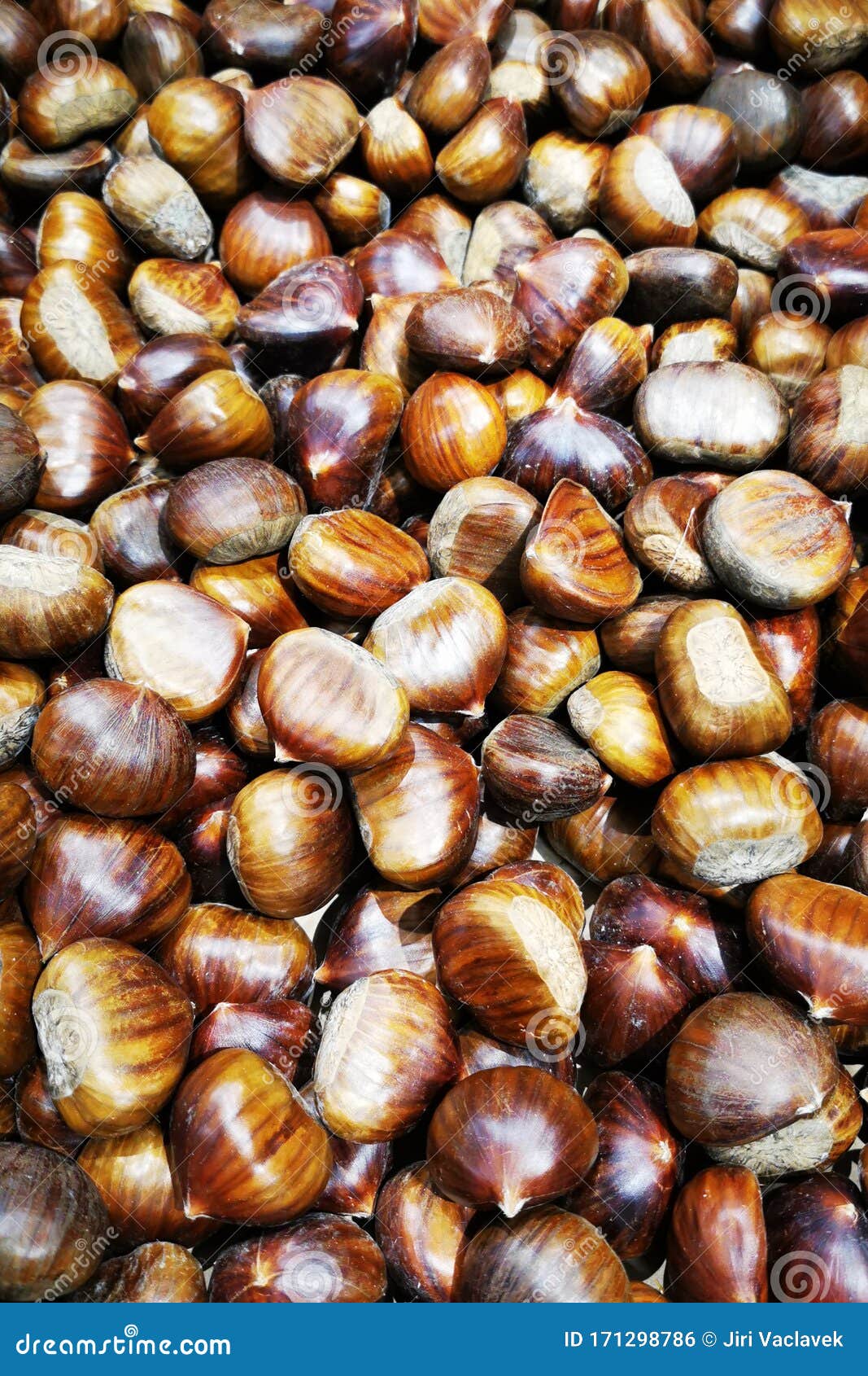 Edible chestnuts texture stock photo. Image of harvest - 171298786