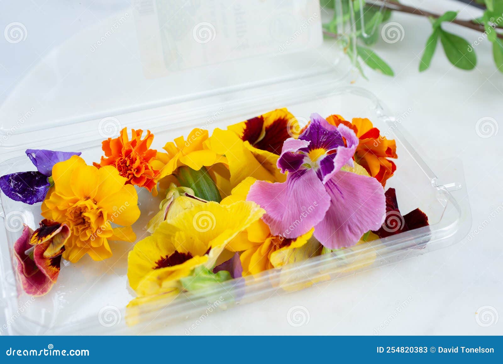 Edible flowers package stock image. Image of nutrient - 254820383