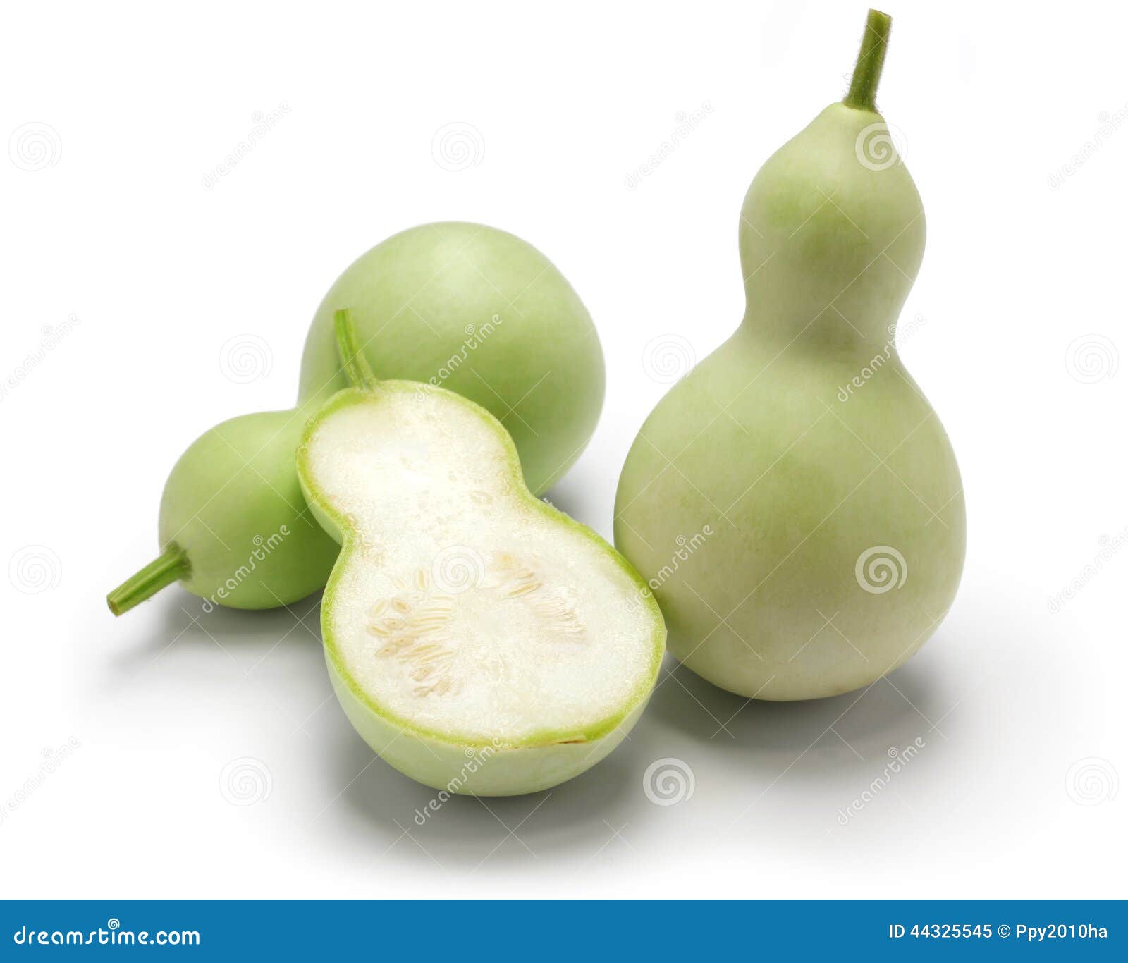 Green Calabash Growing, Also Known As Bottle Gourd, White-flowered ...