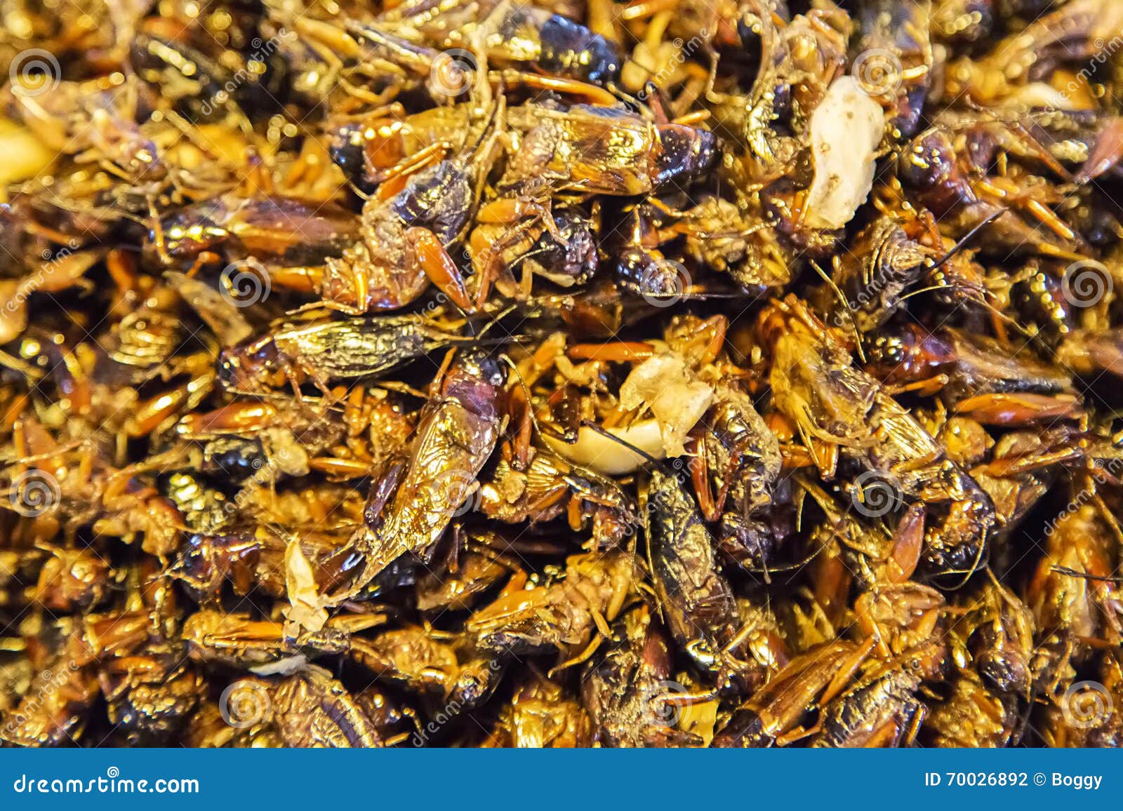 Pile Of Edible Roasted Flying Ants On Table Royalty-Free Stock ...