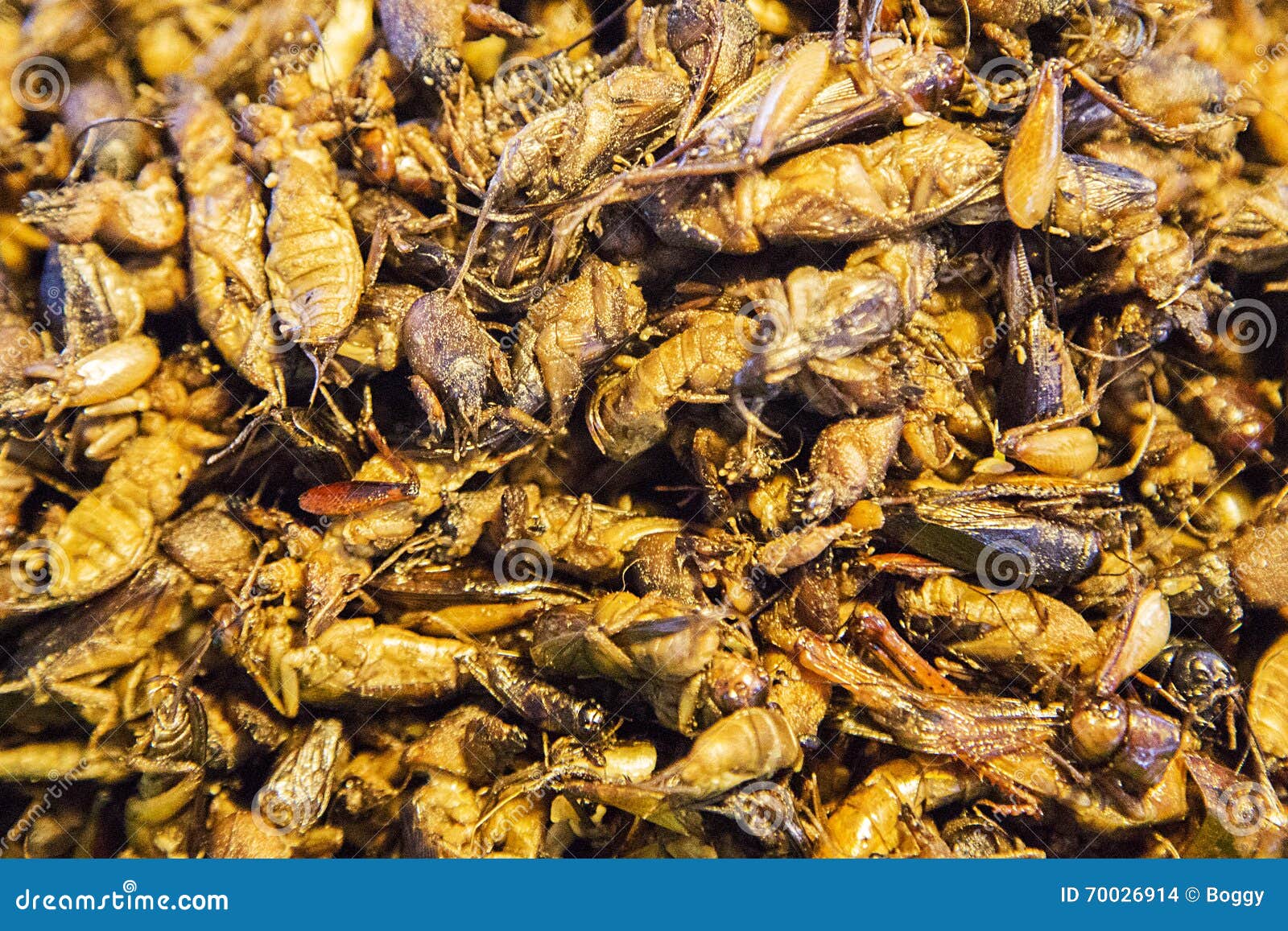 Pile Of Edible Roasted Flying Ants On Table Royalty-Free Stock ...