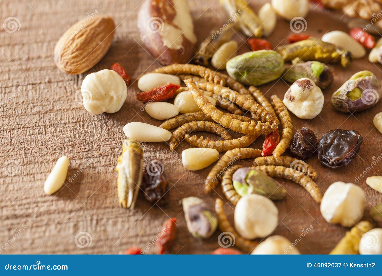 Edible insects and nuts stock image. Image of insects - 46092037