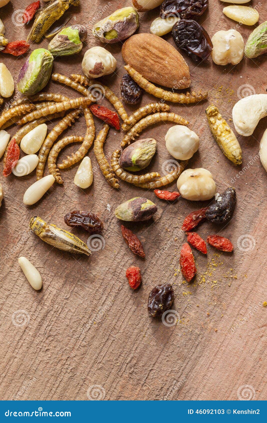 Edible insects and nuts stock image. Image of delicious - 46092103