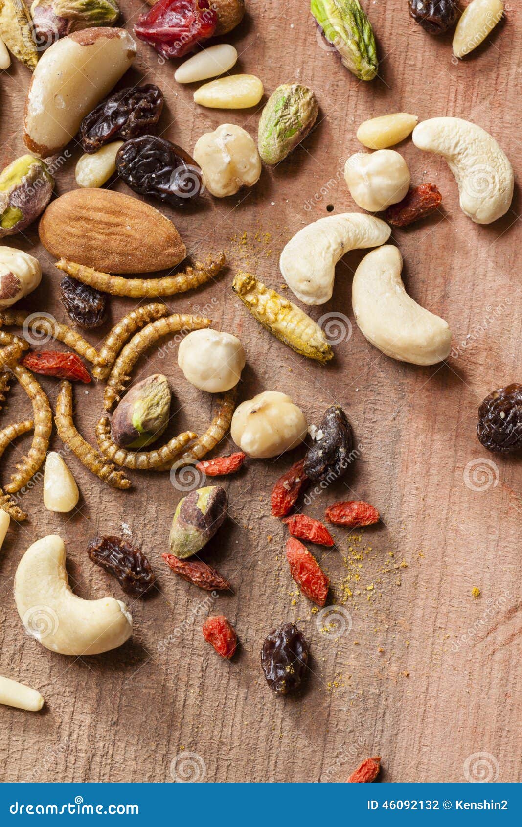 Edible insects and nuts stock photo. Image of crickets - 46092132