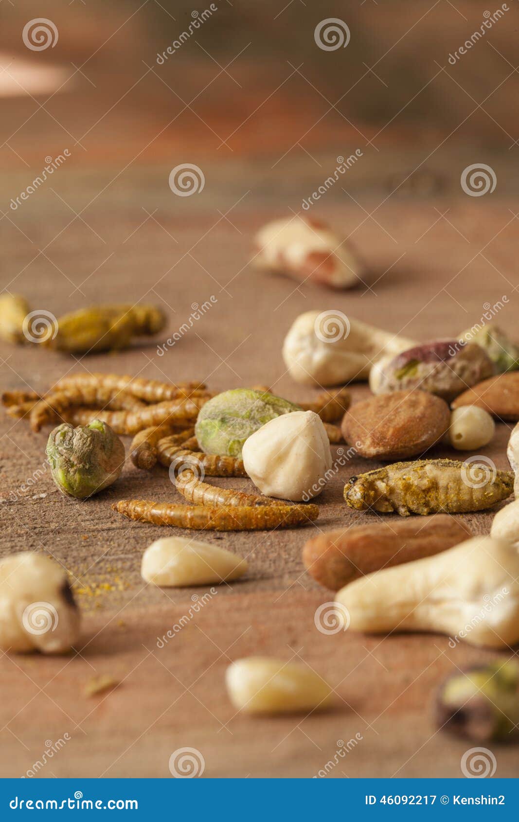 Edible insects and nuts stock image. Image of hazelnut - 46092217