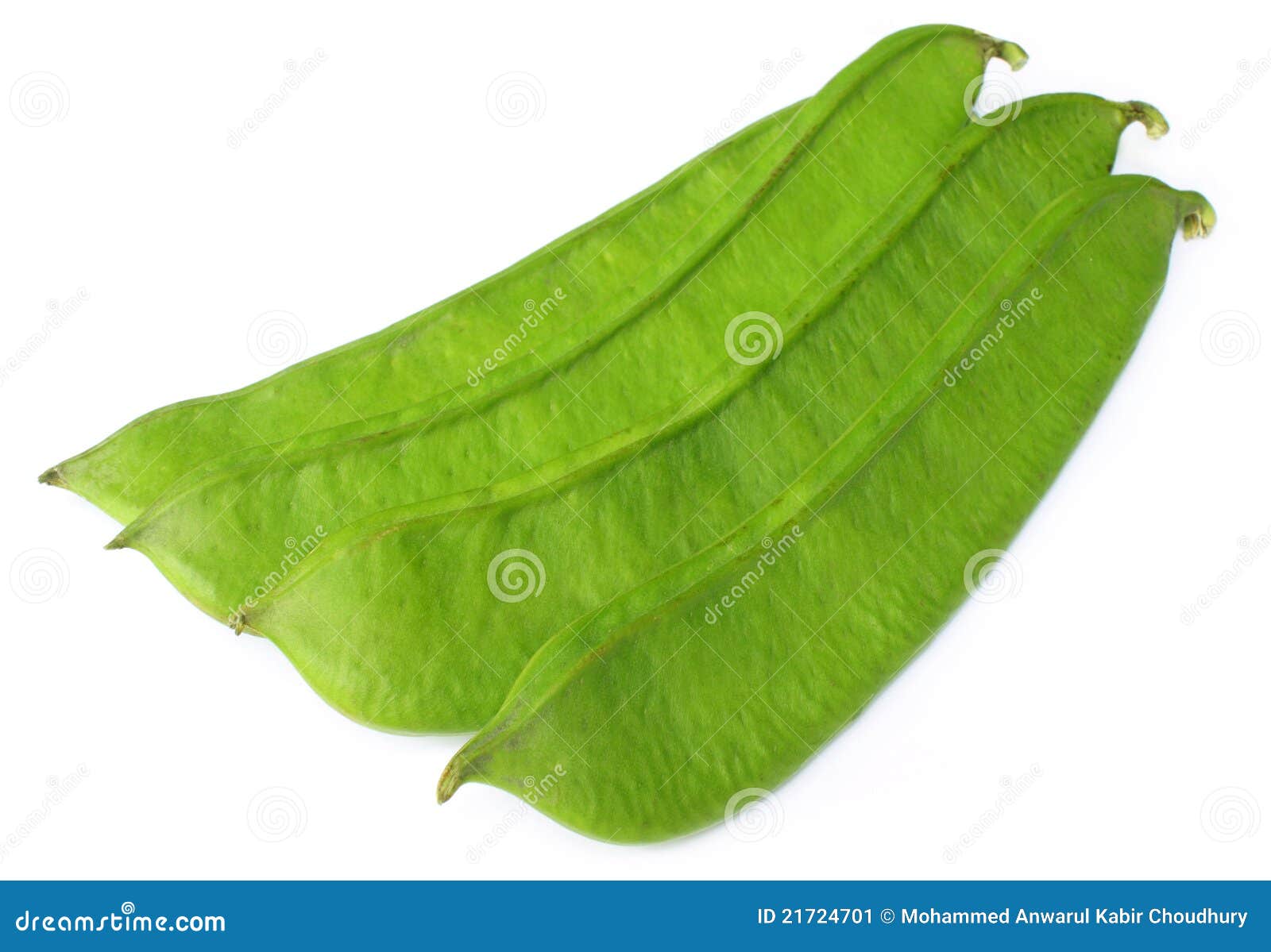 Edible Large Flat Beans of Southeast Asia Stock Image - Image of nature ...