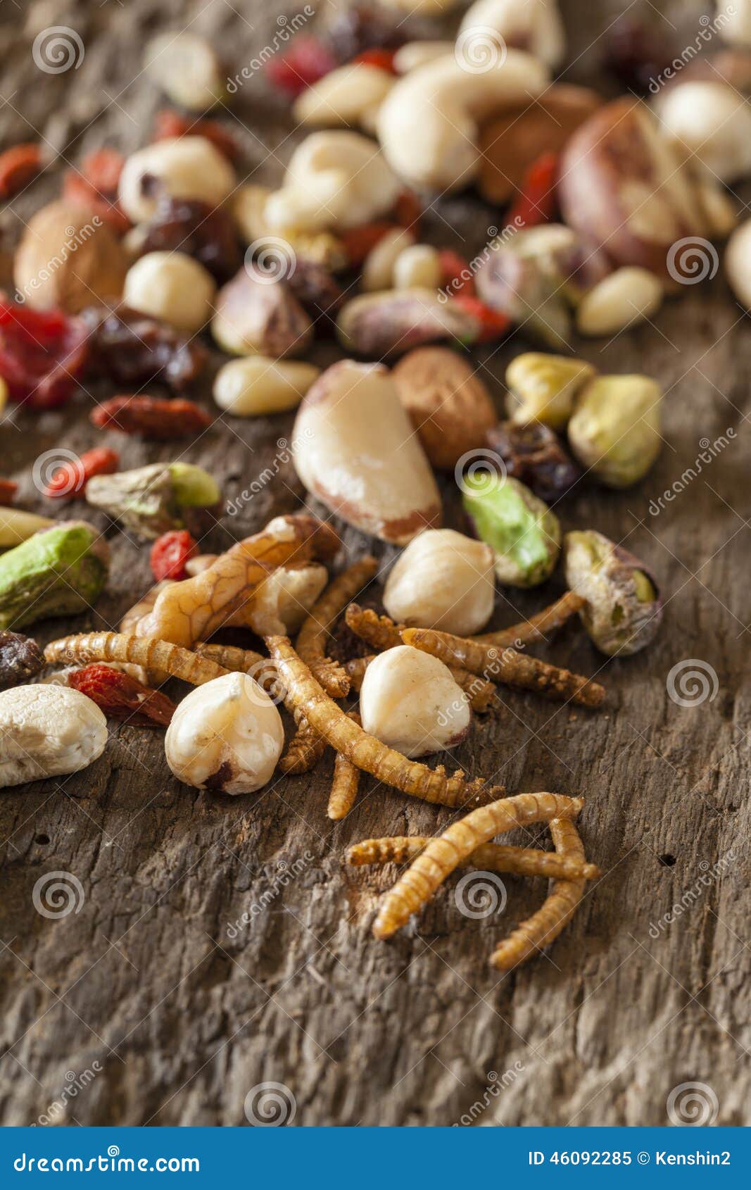 Edible mealworms and nuts stock image. Image of exotic - 46092285