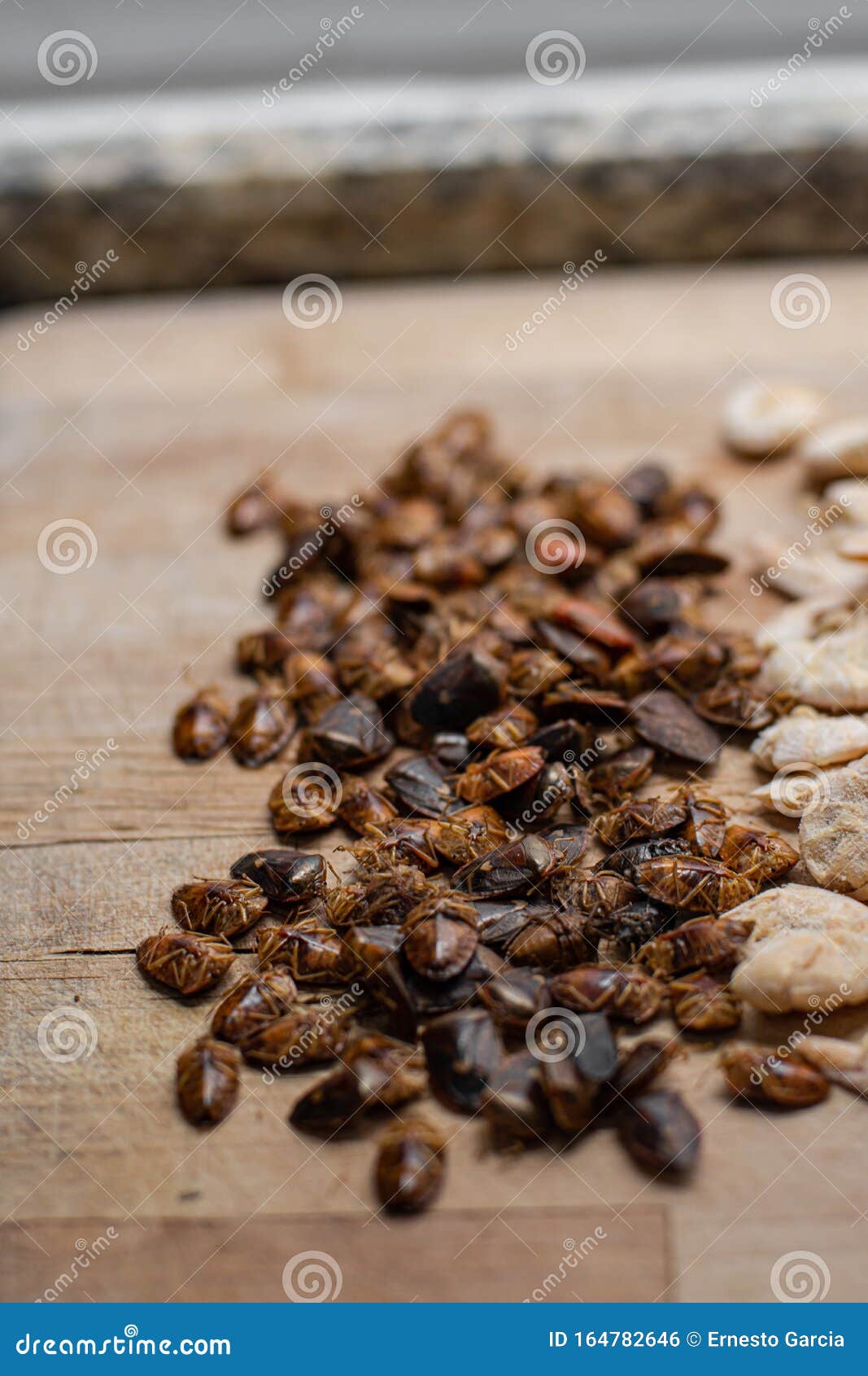 Edible Mexican Insects Cooked on a Table Stock Photo - Image of protein ...