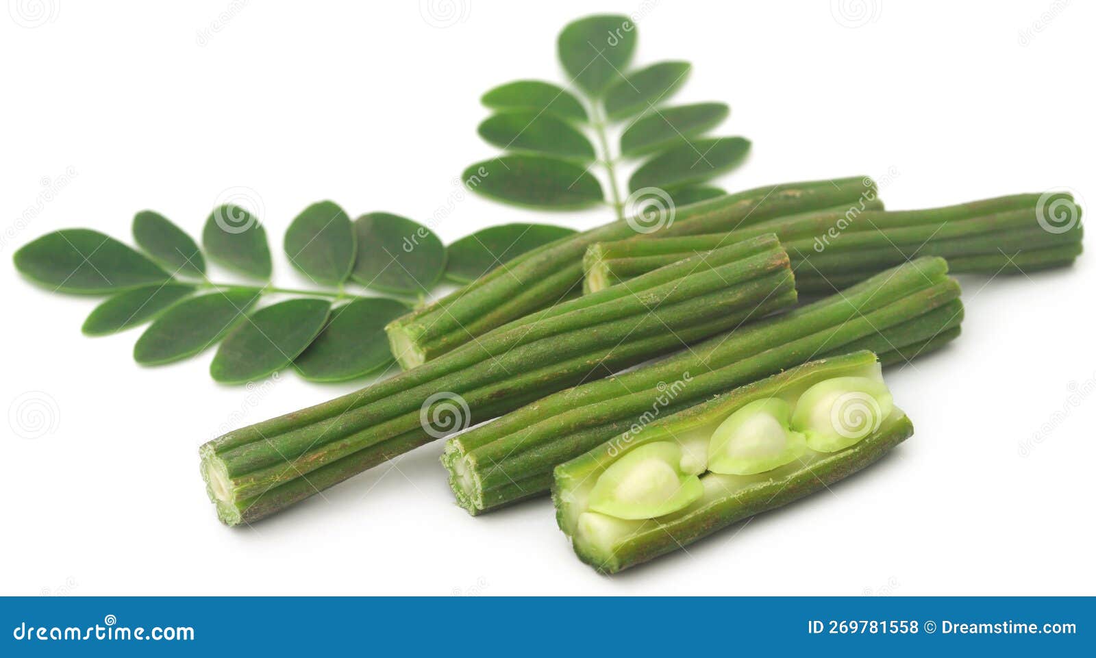 Edible Moringa with Fresh Leaves Stock Photo - Image of malunggay ...